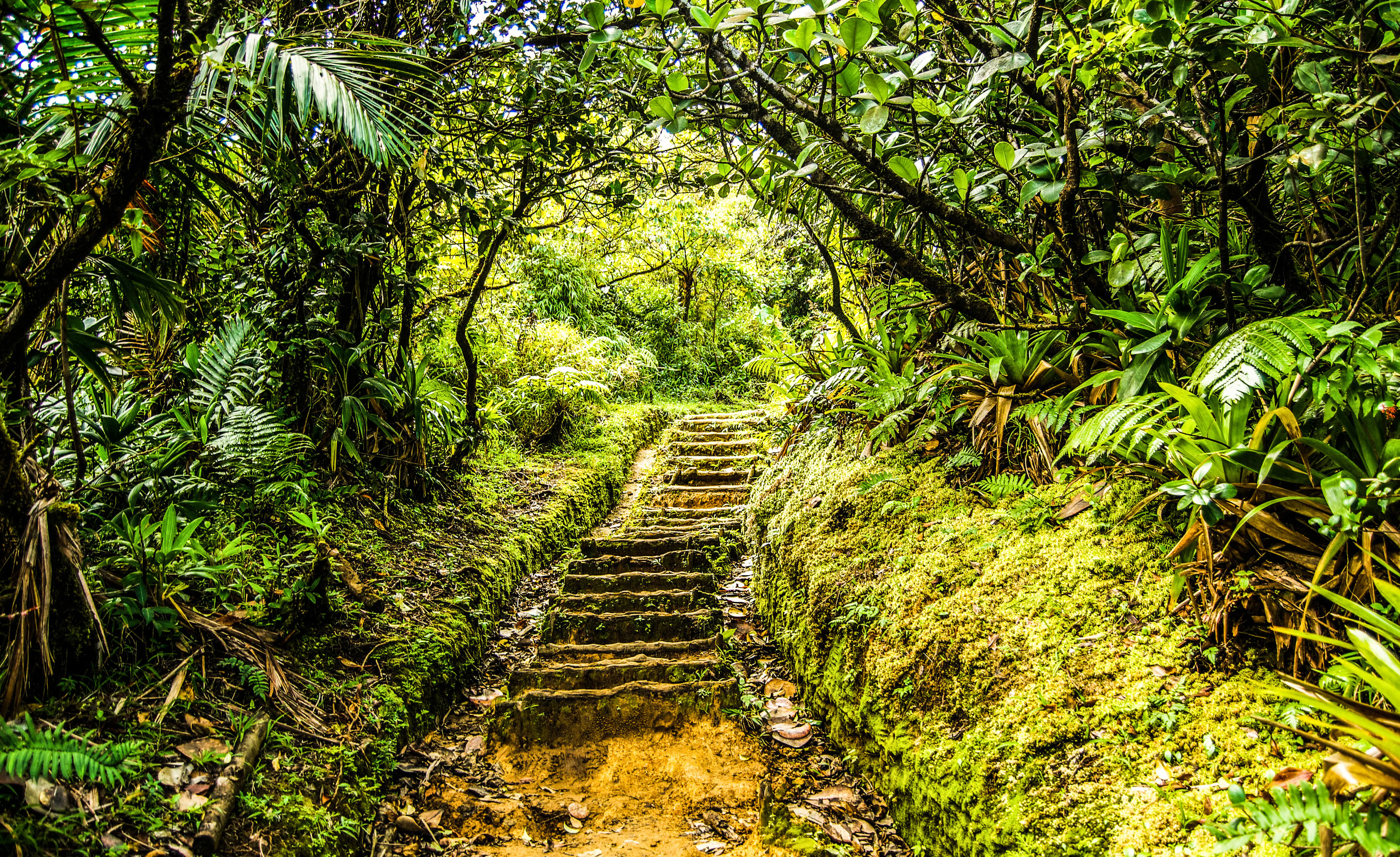 A guide to the islands of Guadeloupe - Lonely Planet