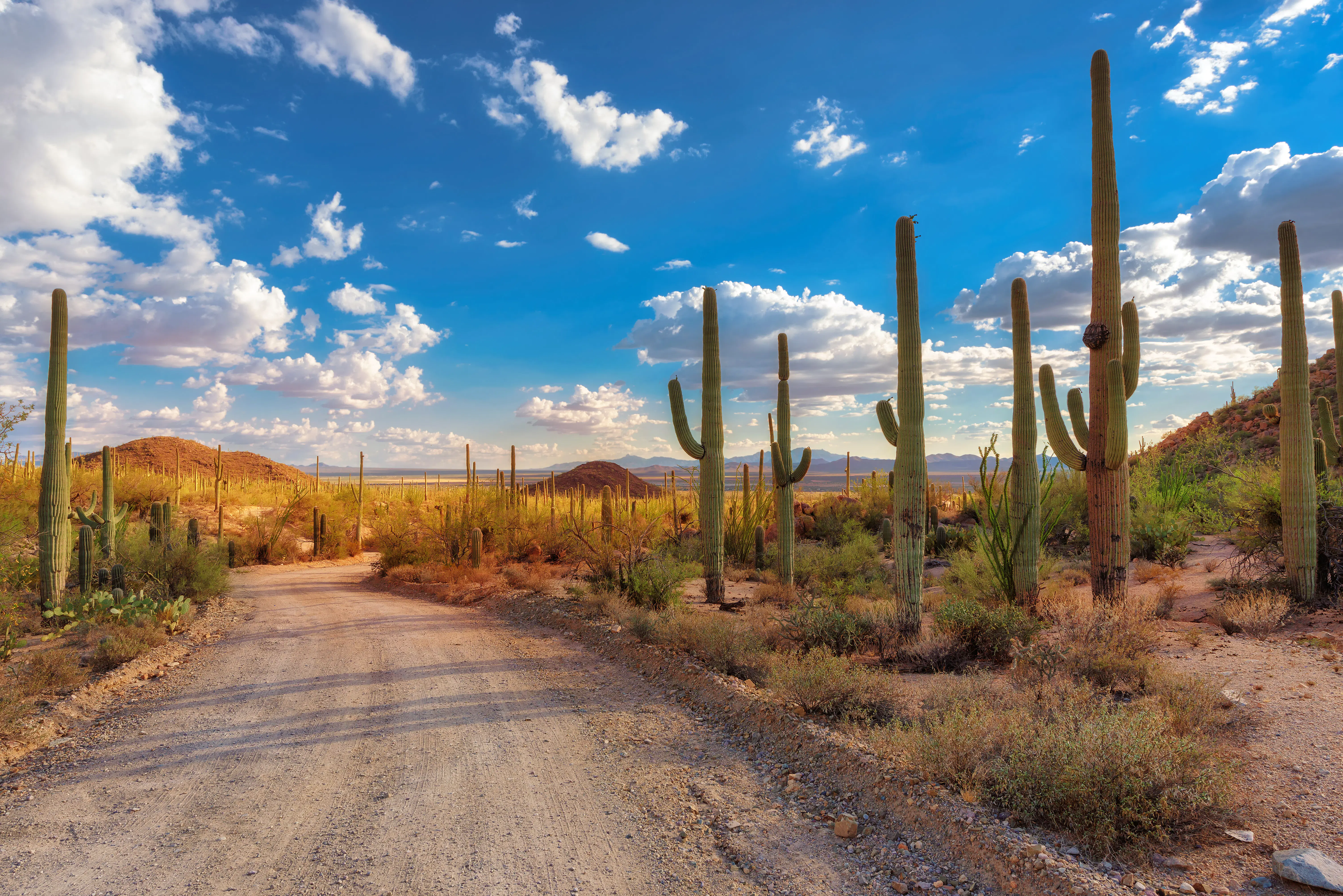 A first-timer’s guide to Phoenix, Arizona - Lonely Planet
