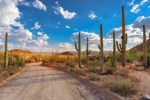 A one-stop guide to getting around in Arizona - Lonely Planet