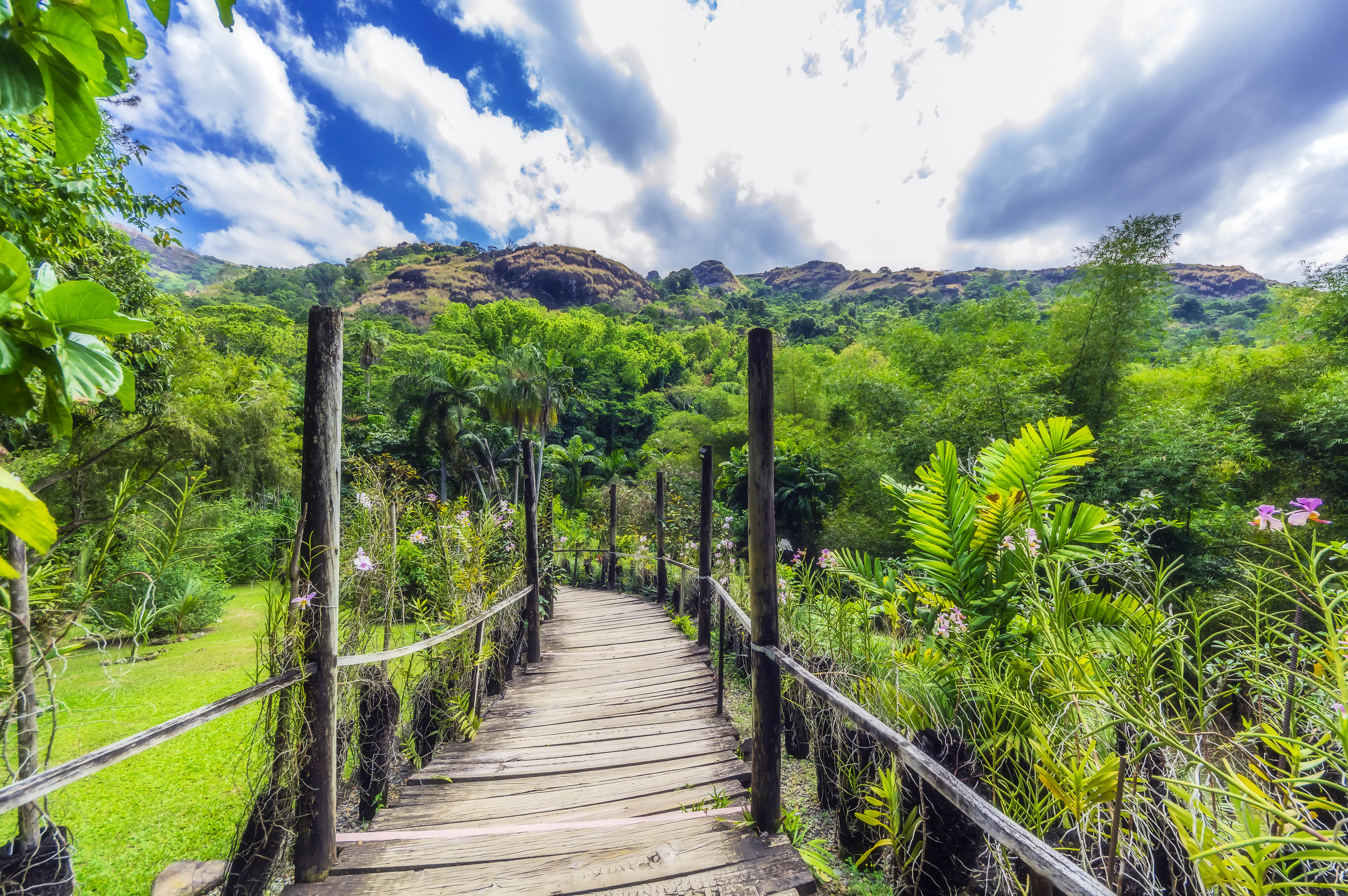 12 of the best things to do in Nadi, Fiji - Lonely Planet