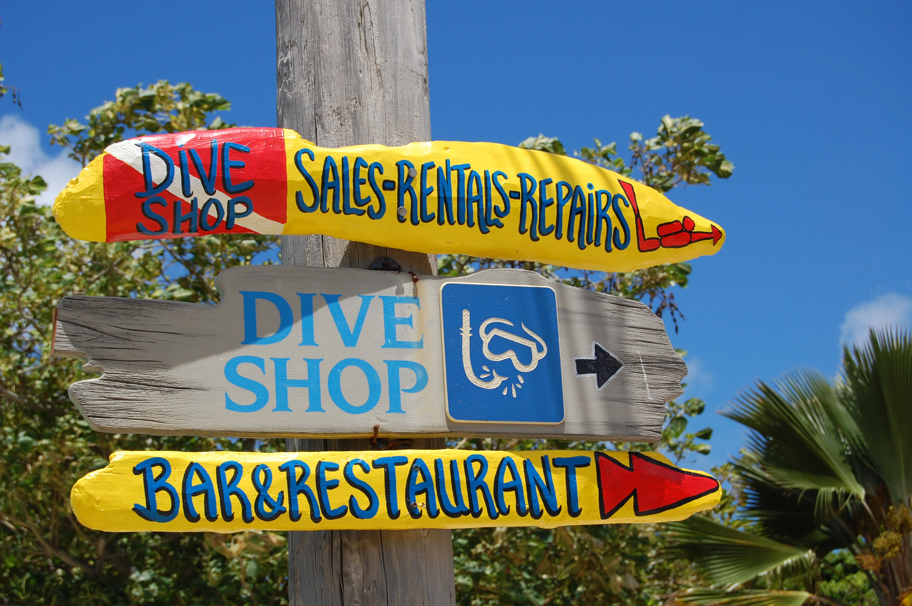 A first-time guide to Bonaire - Lonely Planet