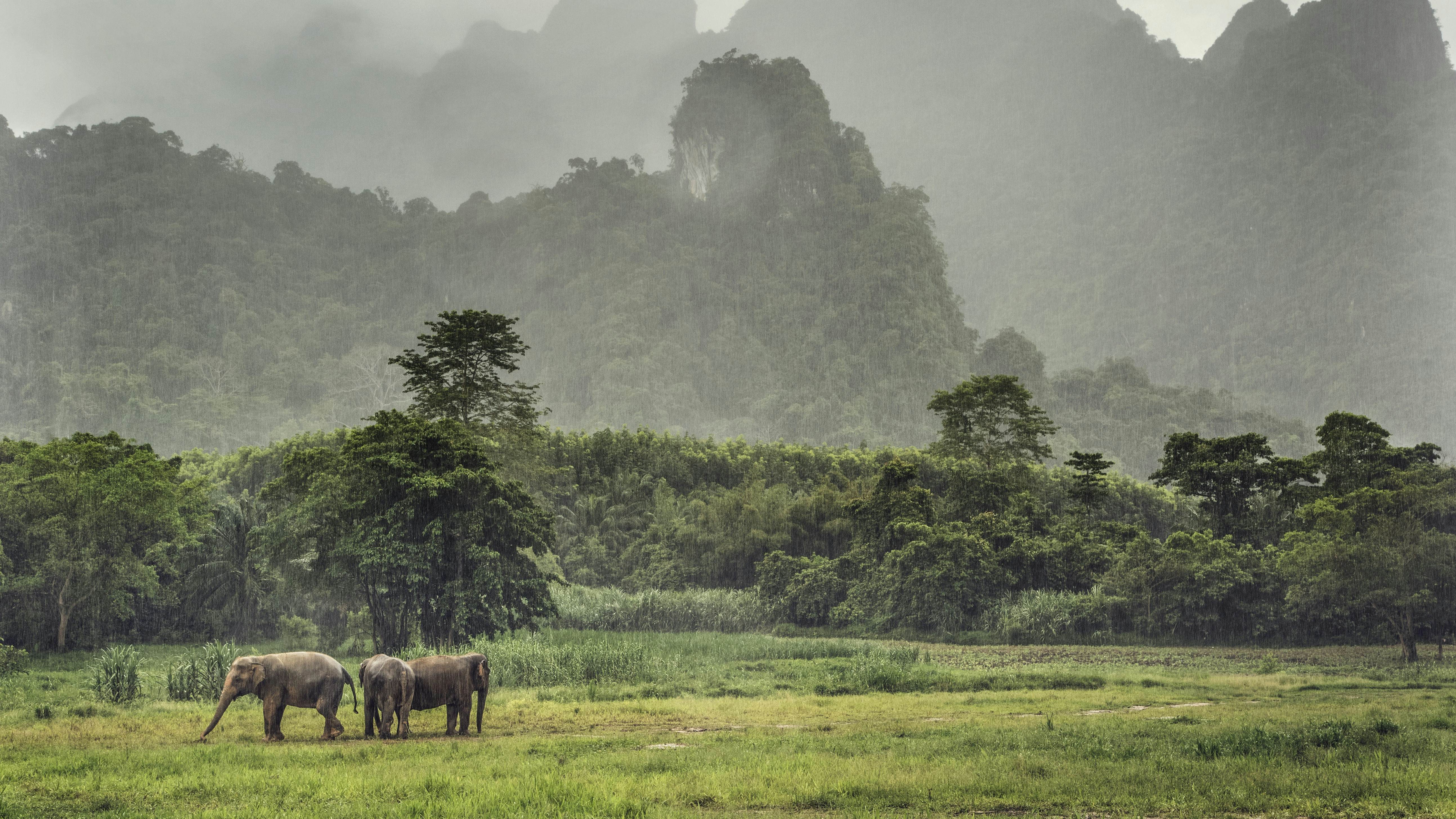 7 of the best places to visit in Southeast Asia - Lonely Planet