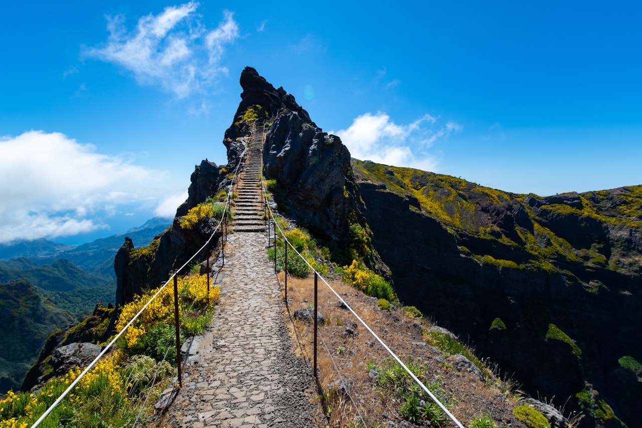 A first-time guide to Madeira - Lonely Planet