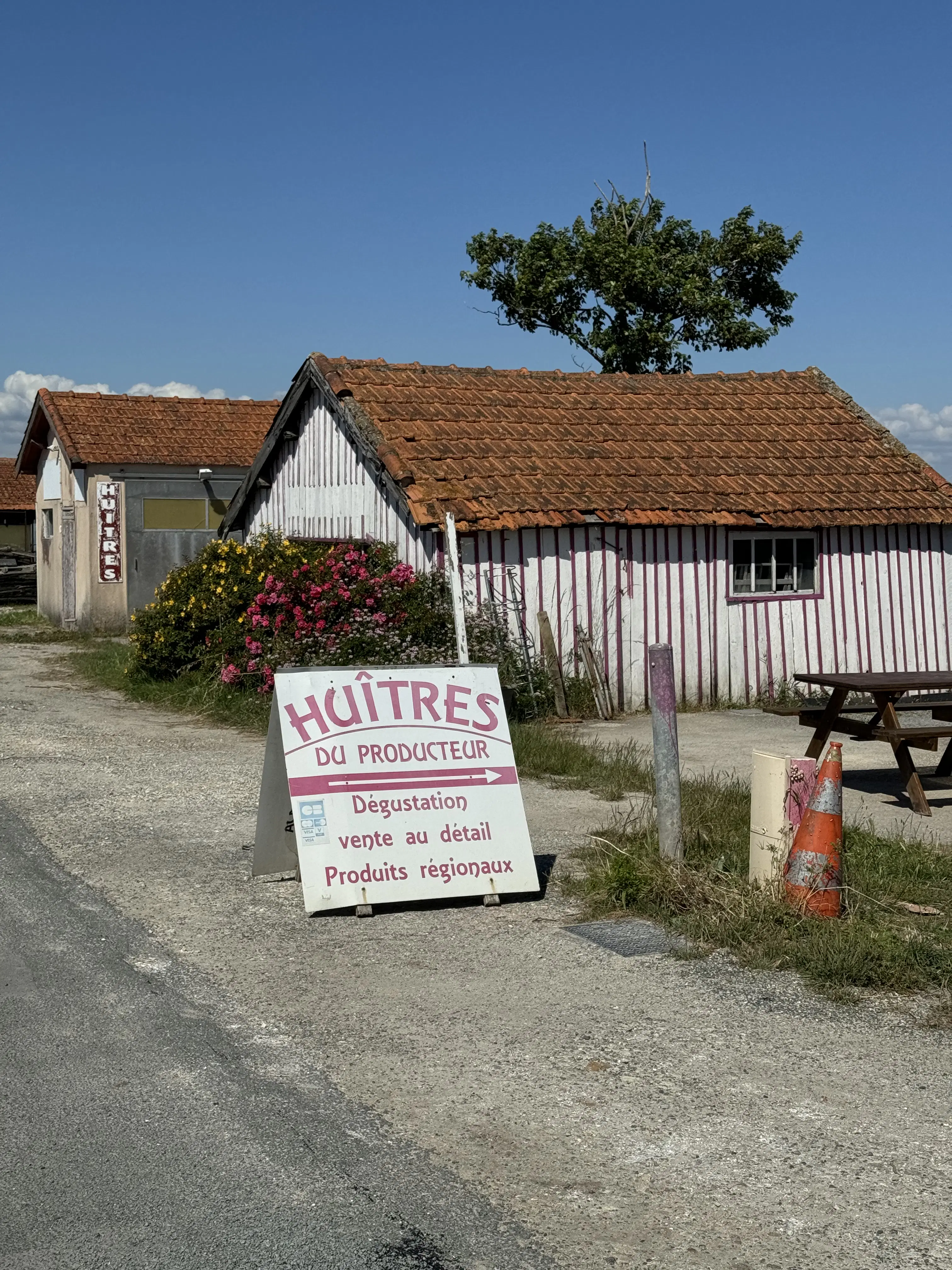First time guide to Cognac, France - Lonely Planet