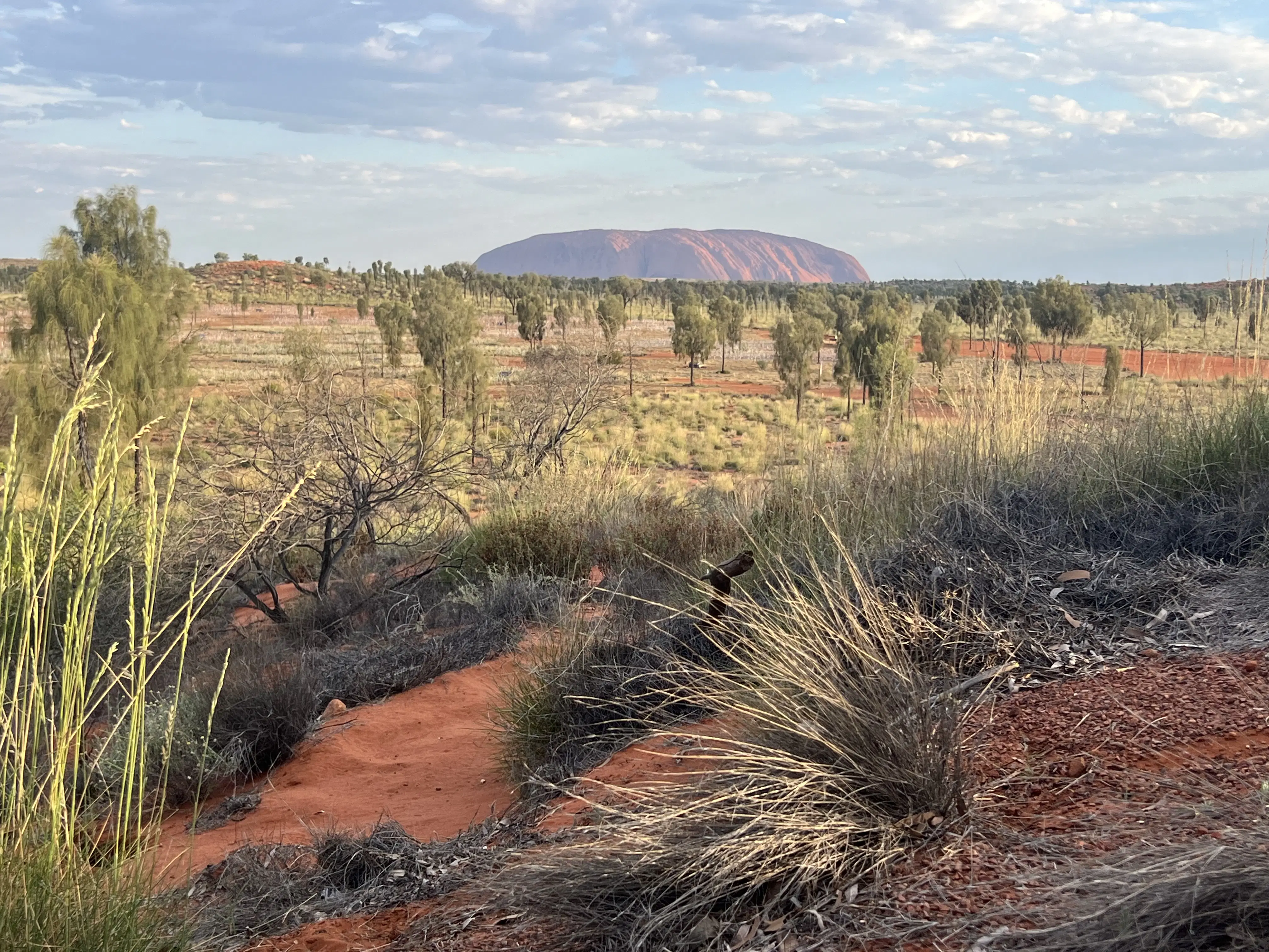 A first-time guide to Australia's Red Centre - Lonely Planet