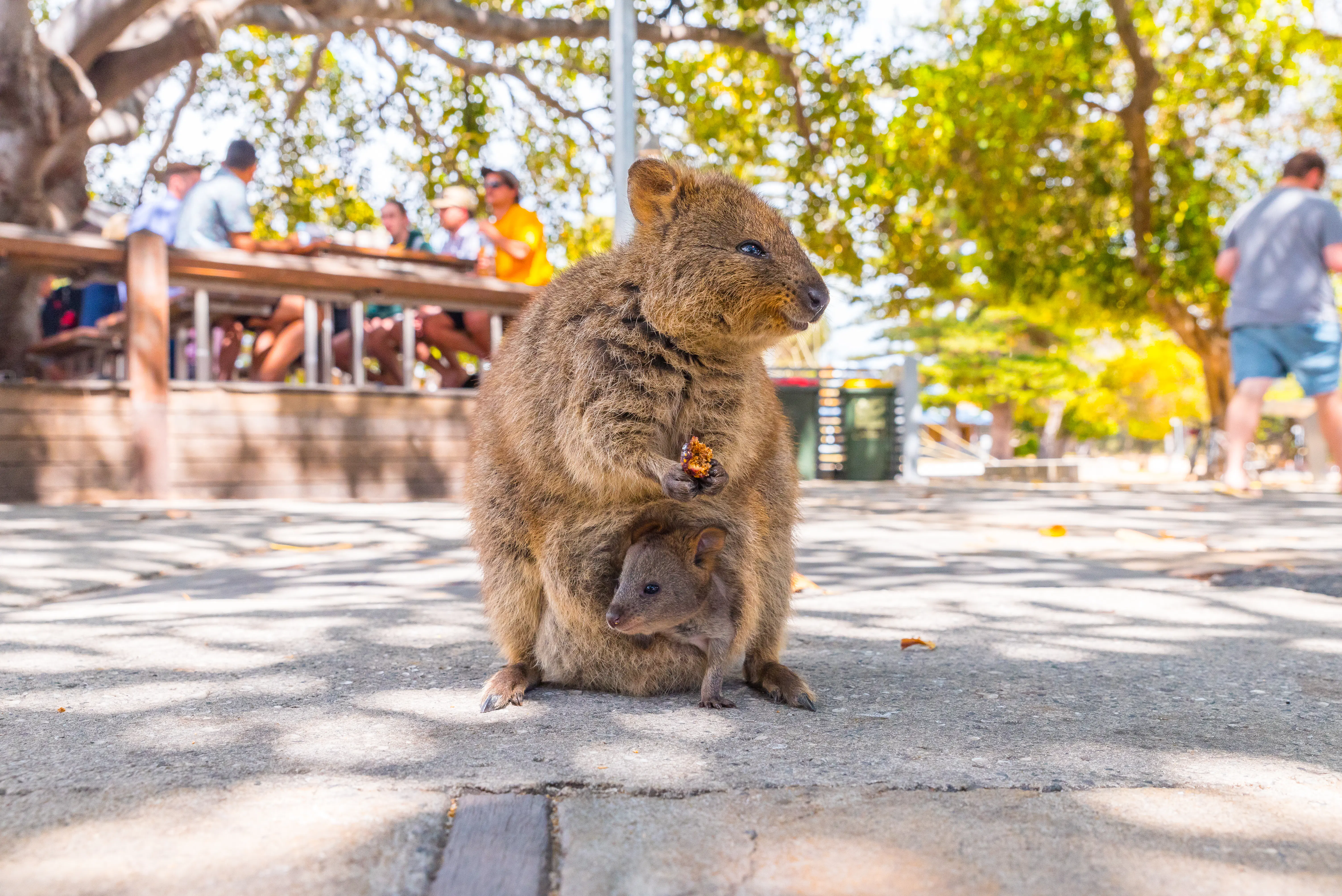 Top things to do in Perth - Lonely Planet