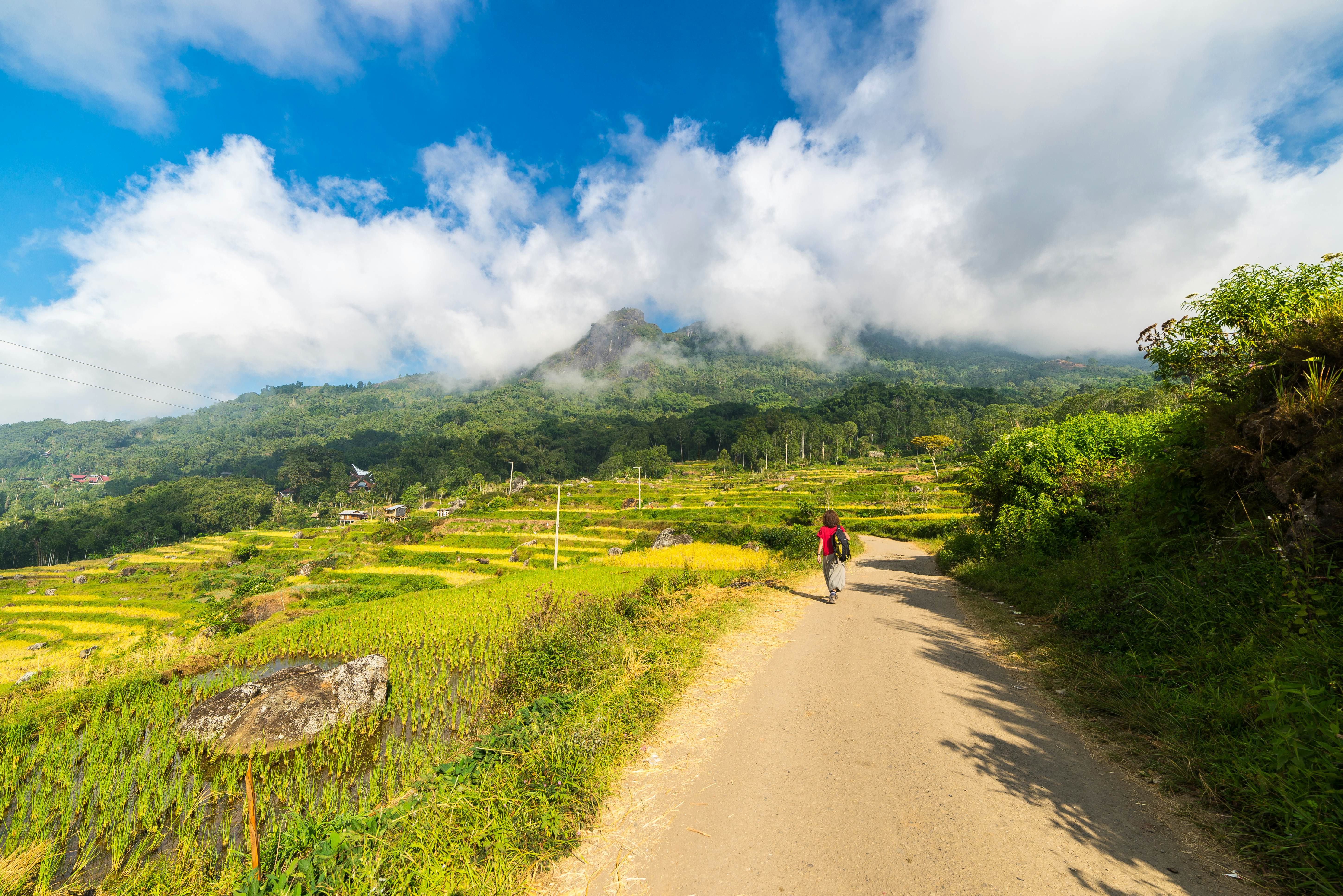 Best hikes in Indonesia - Lonely Planet