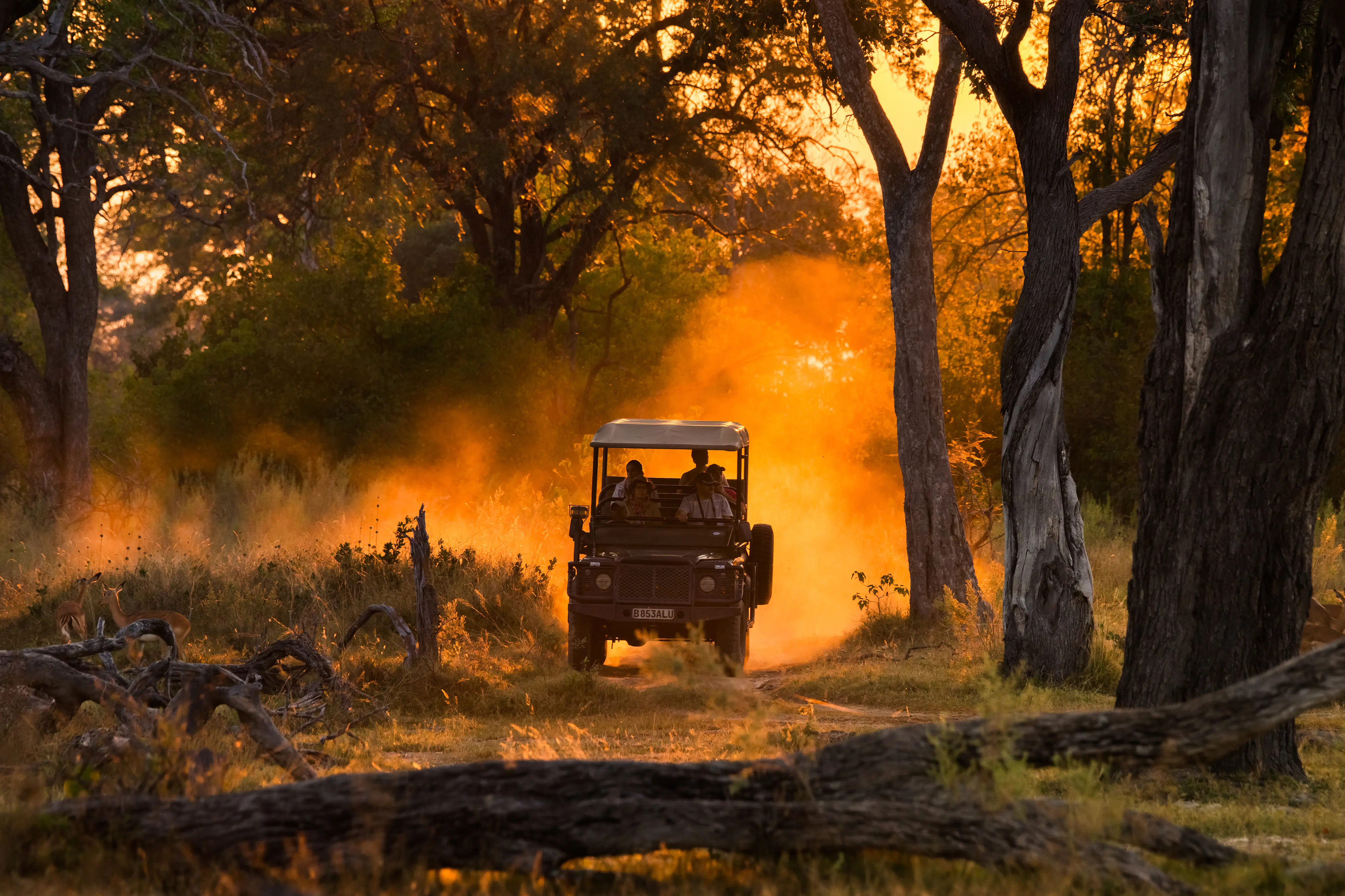 19 things to know before visiting Botswana - Lonely Planet