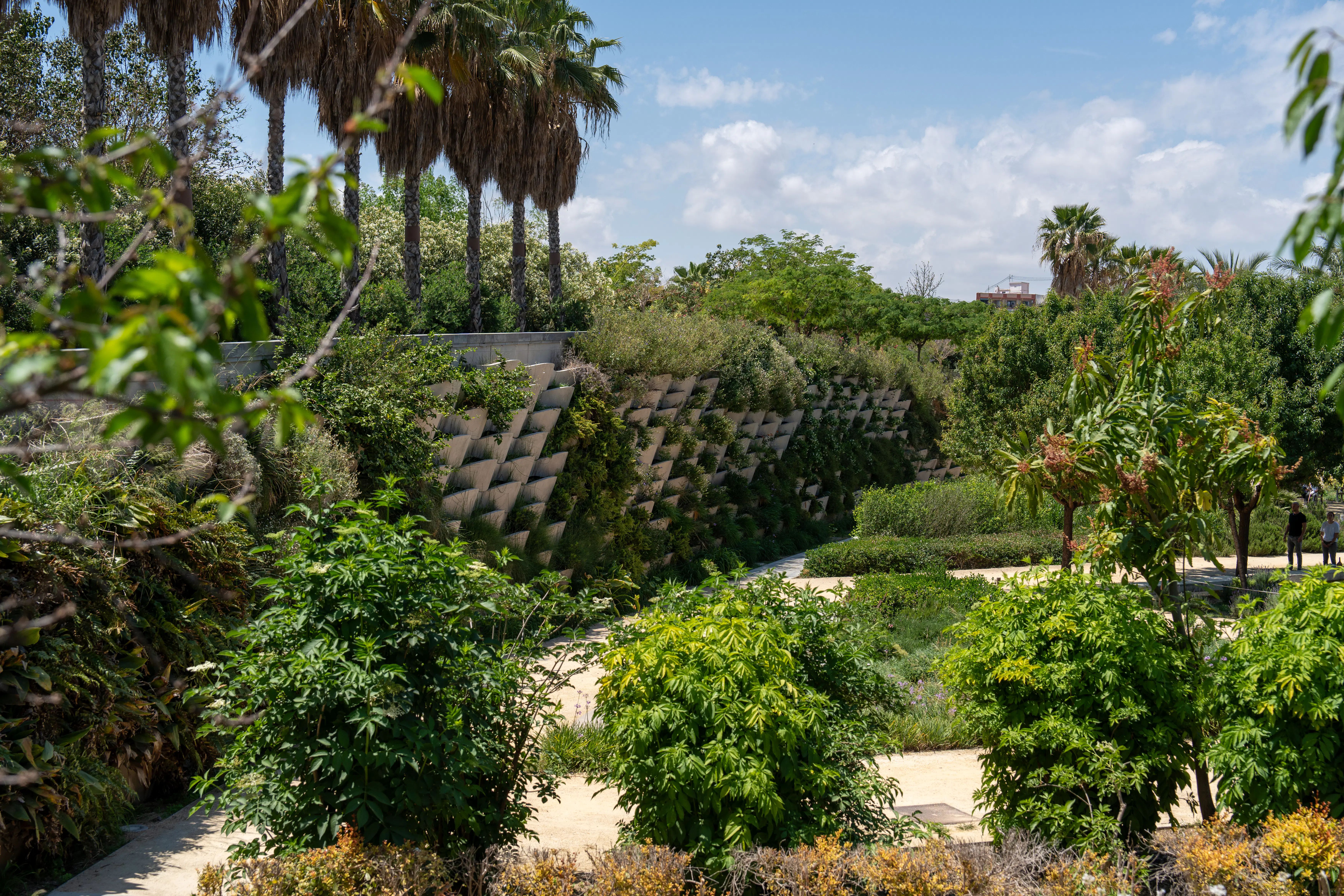 Valencia’s stunning parks and outdoor spaces - Lonely Planet