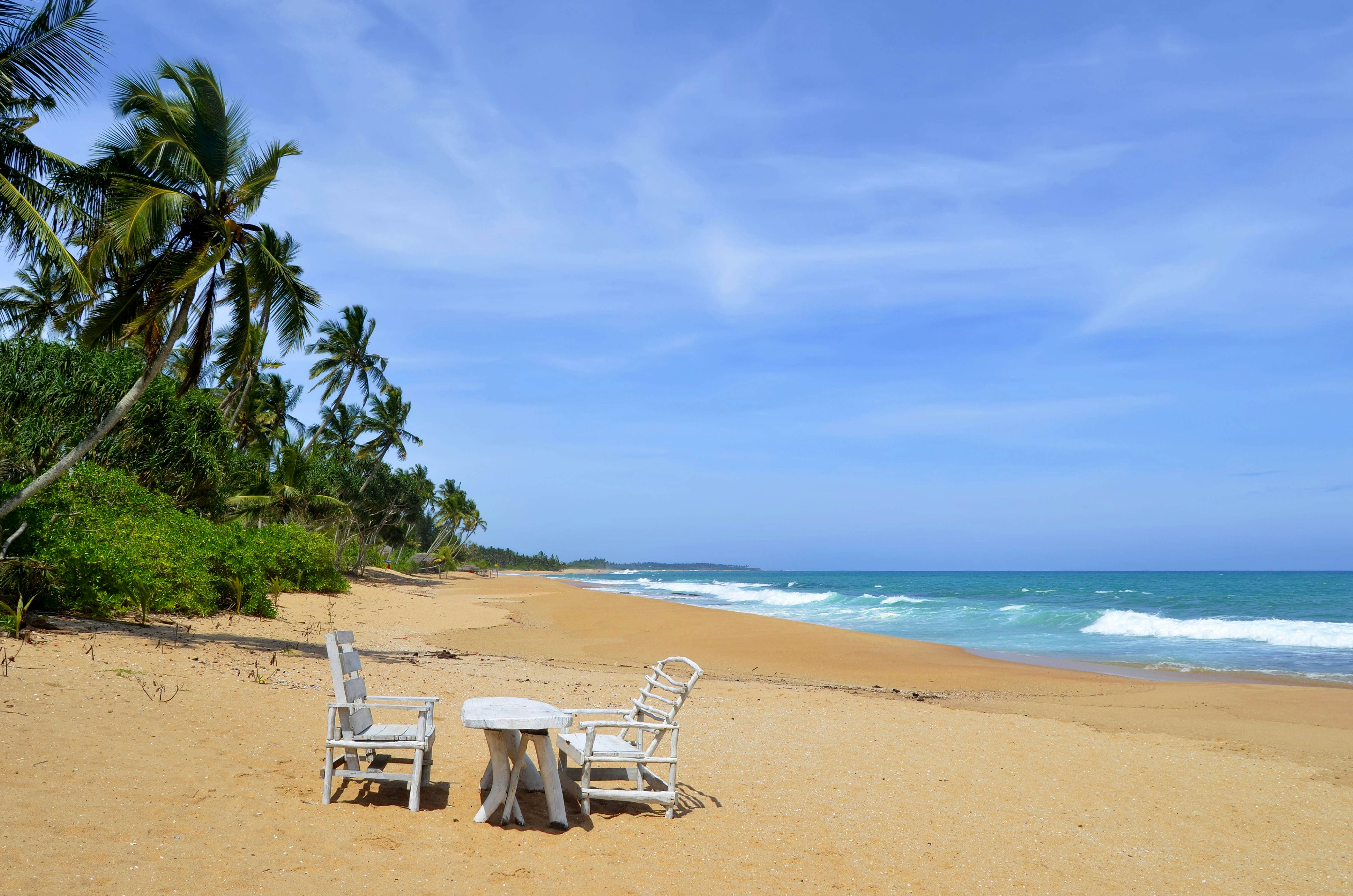 The 13 best beaches in Sri Lanka - Lonely Planet
