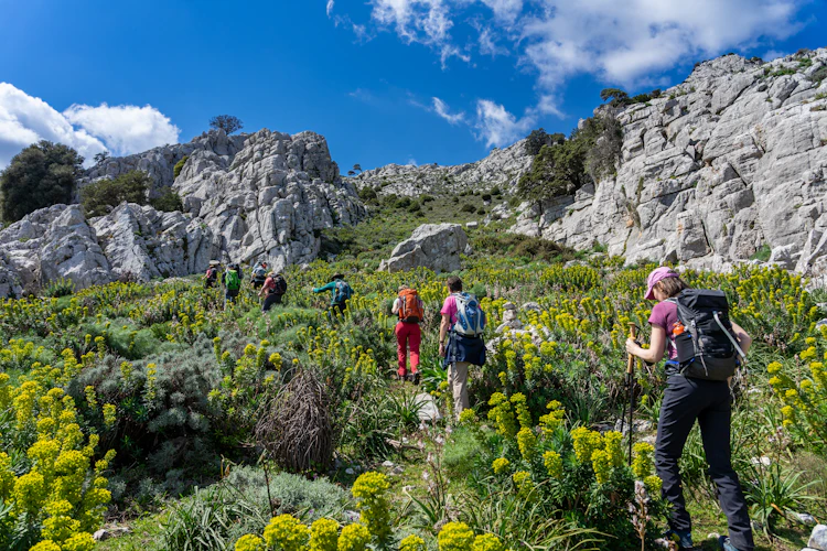 The 12 best things to do in Italy - Lonely Planet