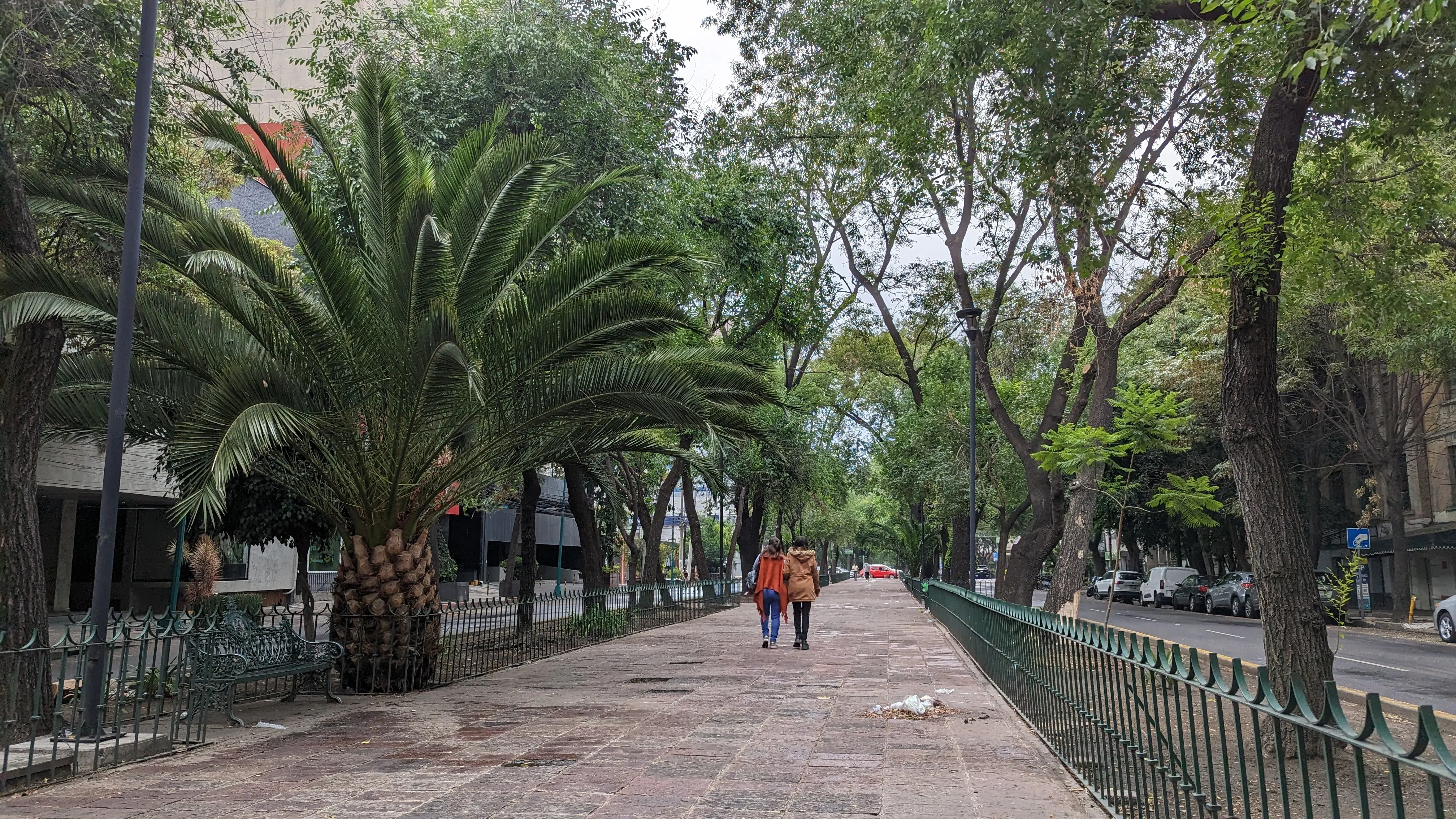 6 of the best neighborhoods in Mexico City - Lonely Planet