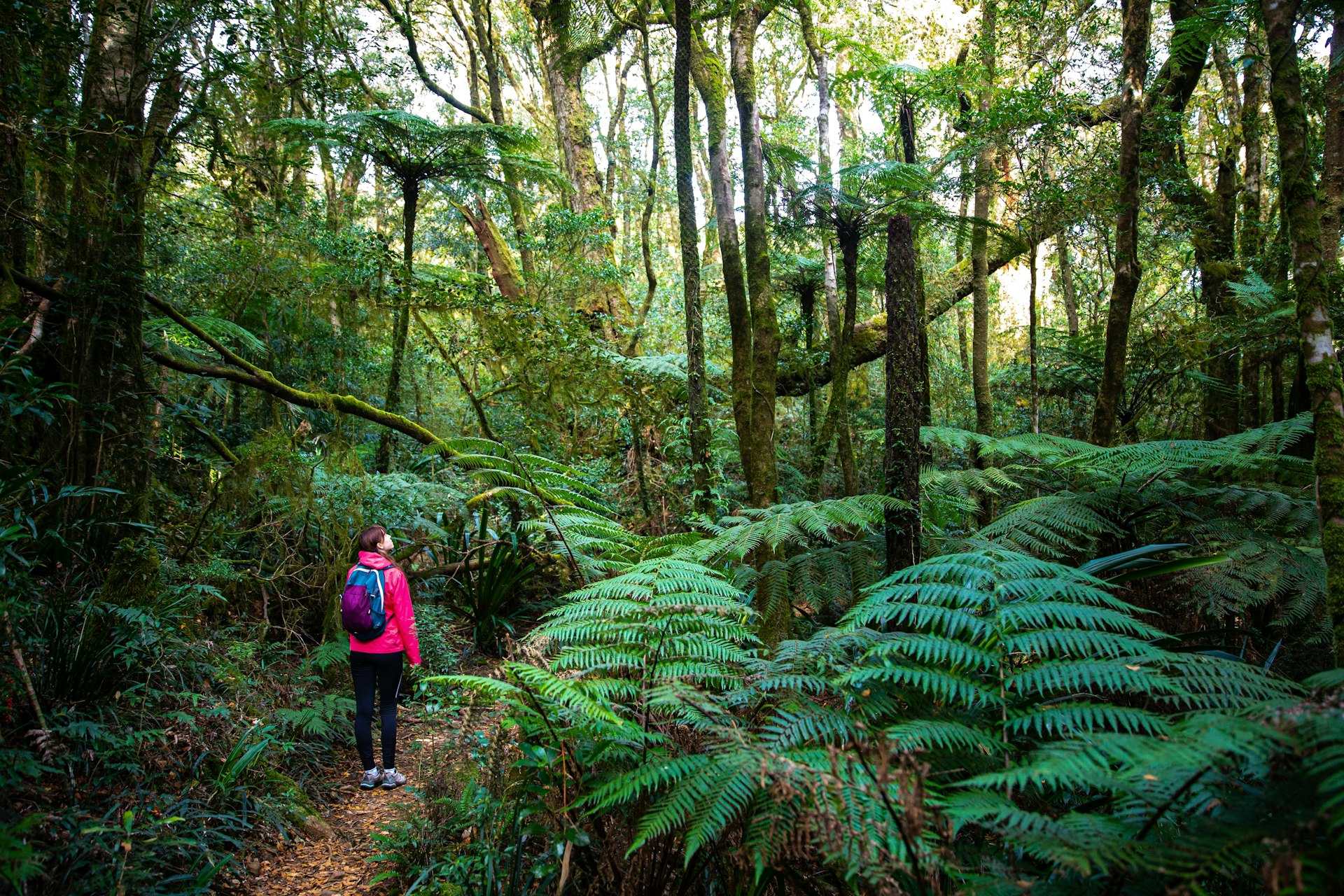 12 of the best hikes in Australia - Lonely Planet