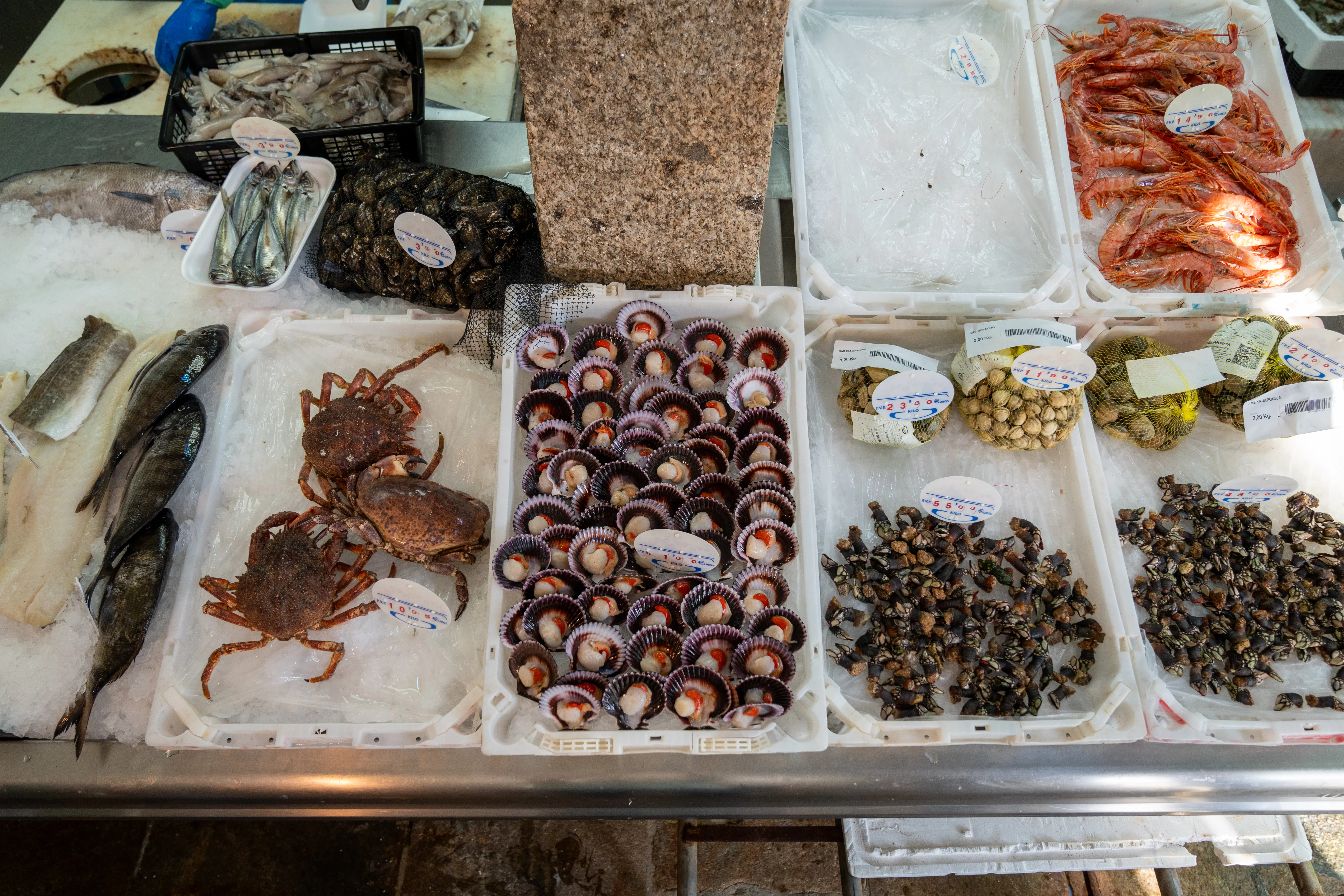 A guide to Green Spain: The best of the northern region - Lonely Planet