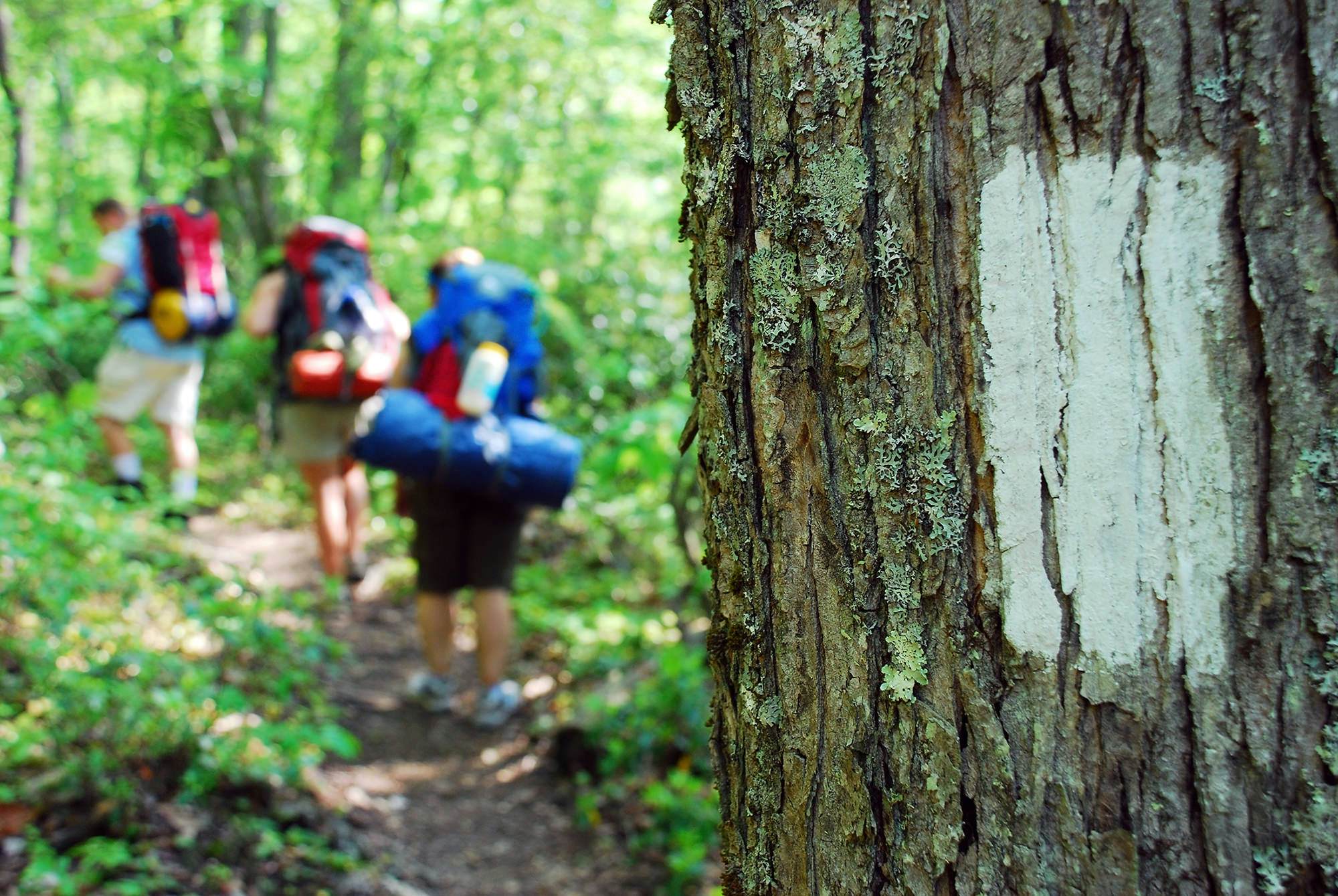 Your guide to hiking the Appalachian Trail - Lonely Planet