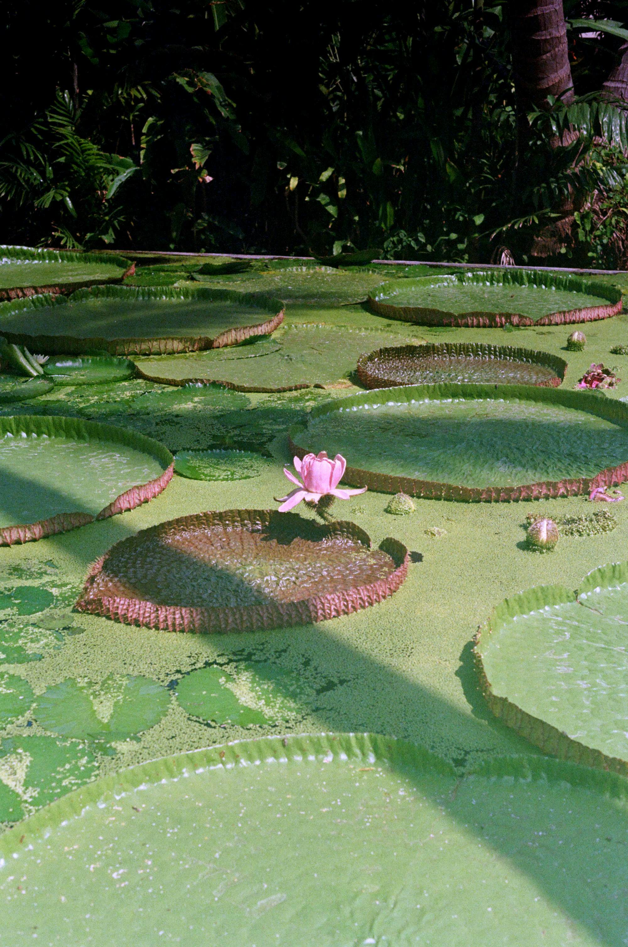 A “White Lotus” experience in Thailand - Lonely Planet