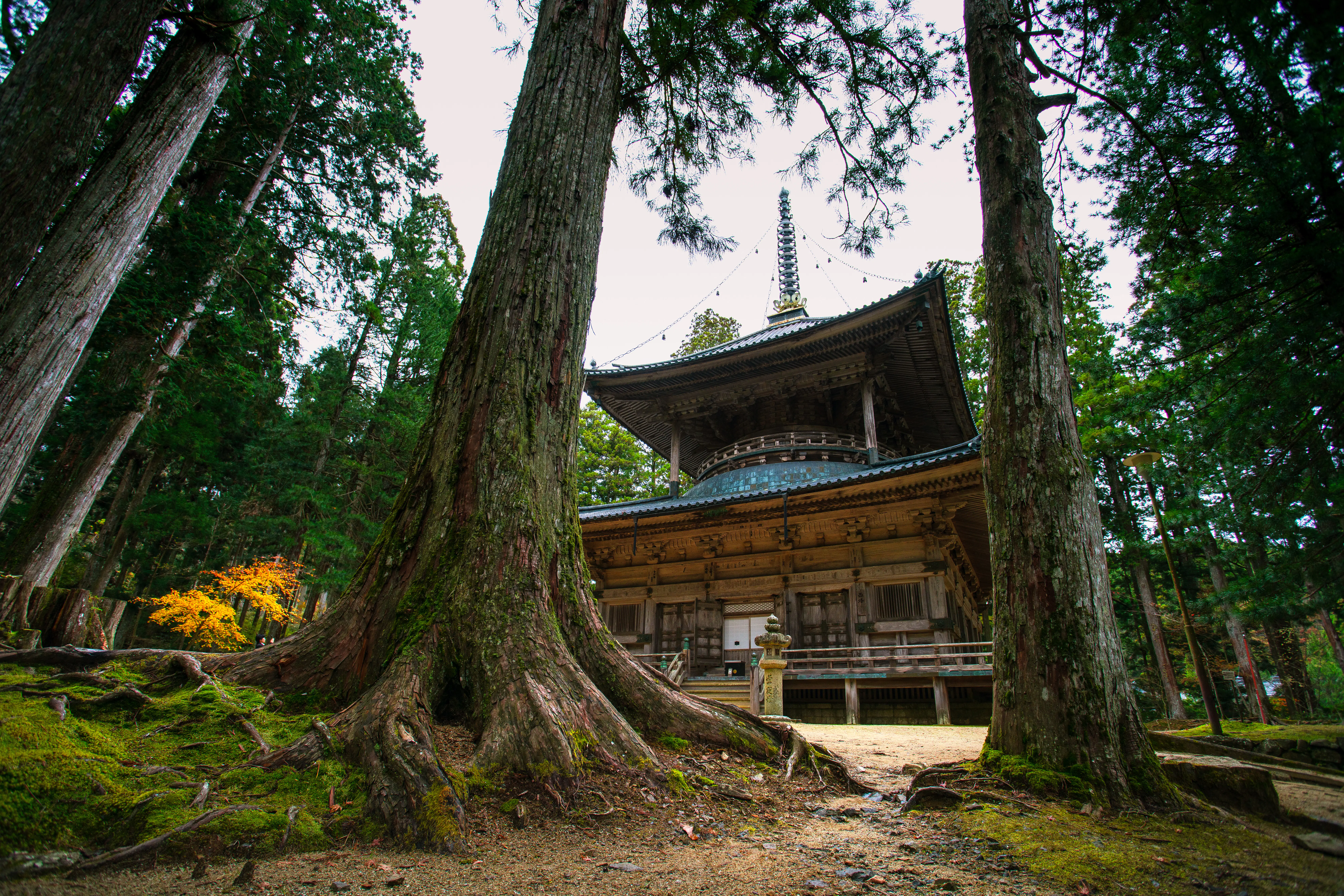 10 best places to visit in Japan - Lonely Planet