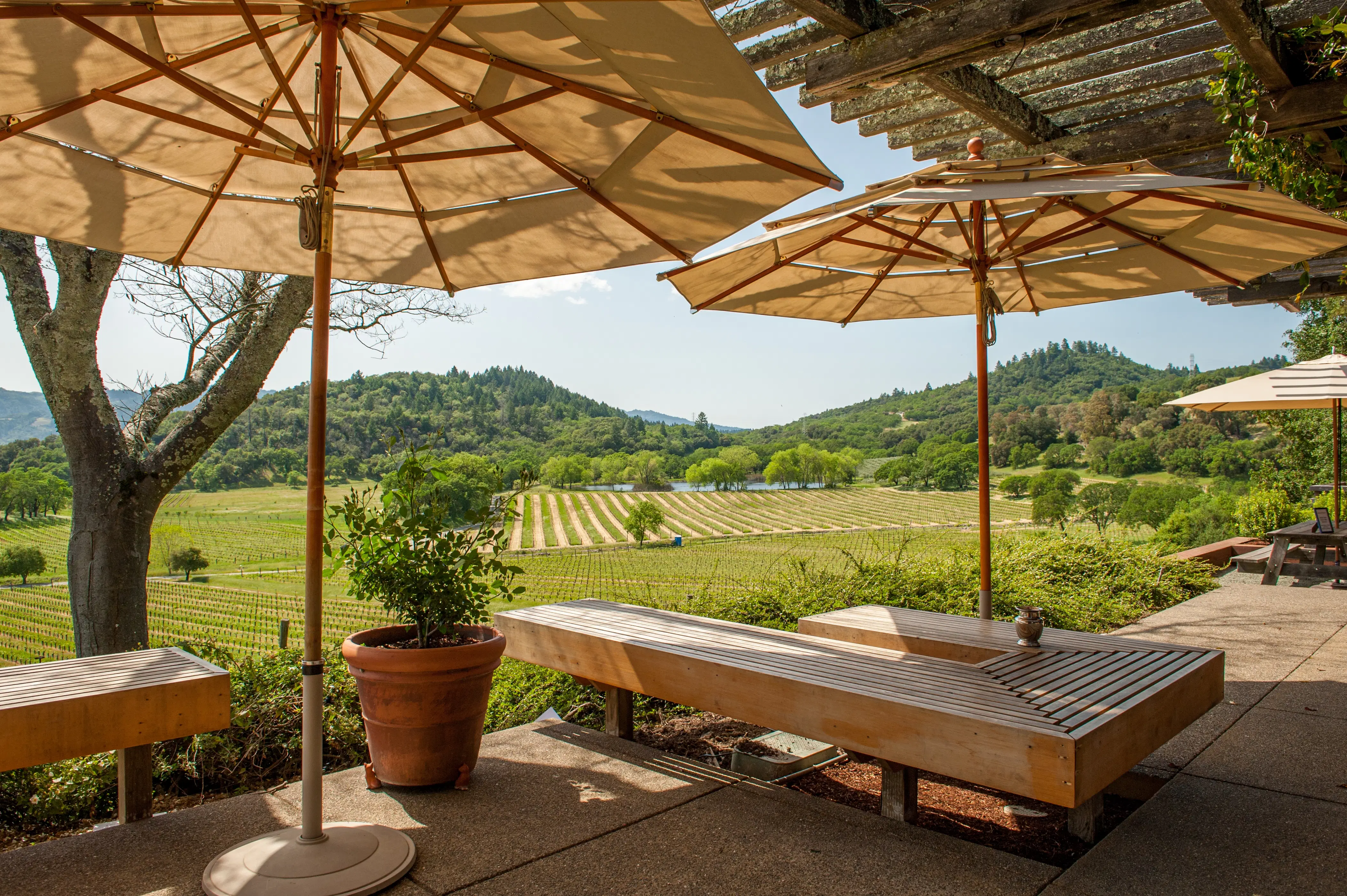 10 superb wineries in Oregon’s Willamette Valley - Lonely Planet