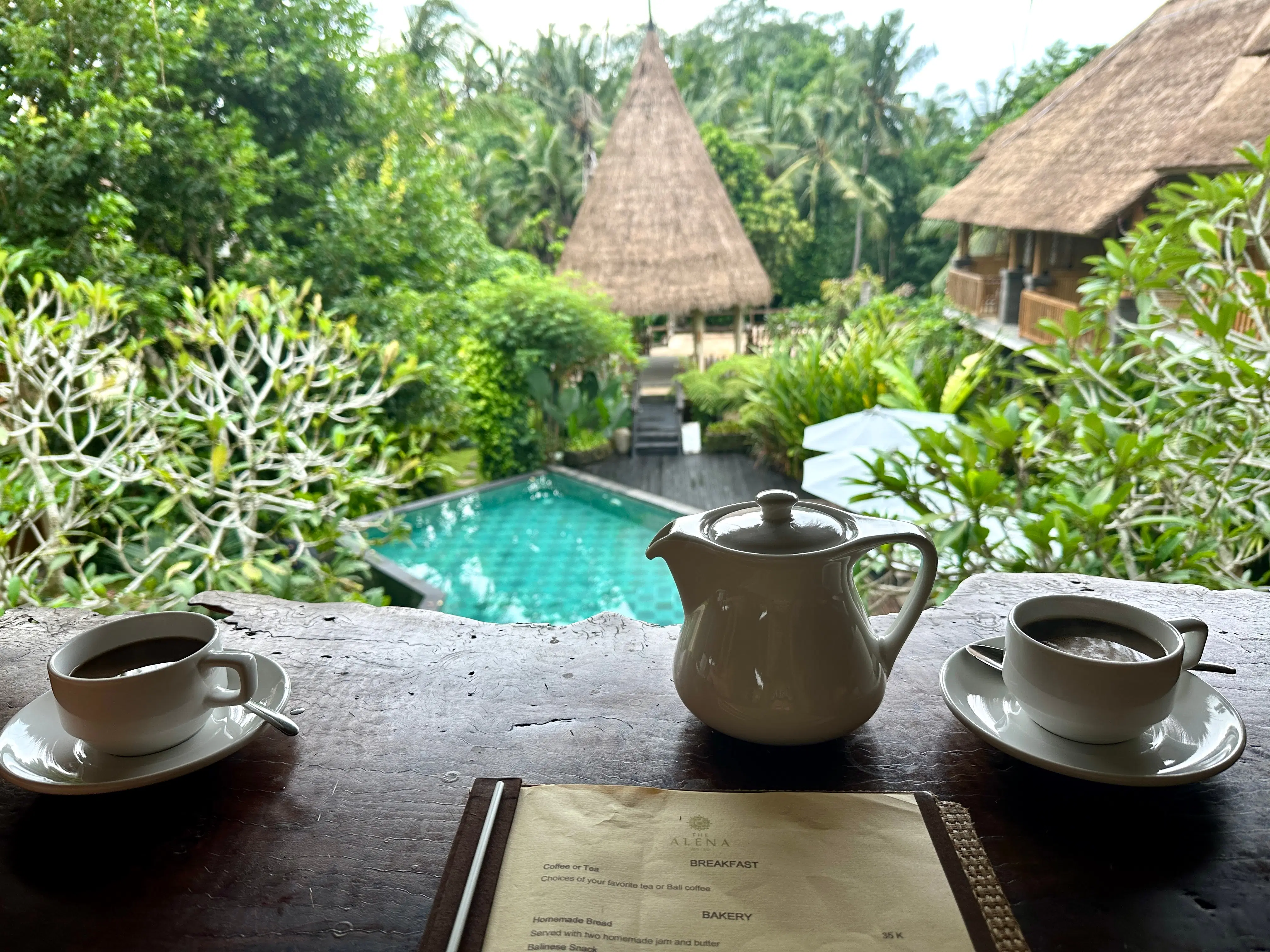 17 best things to do in Ubud - Lonely Planet