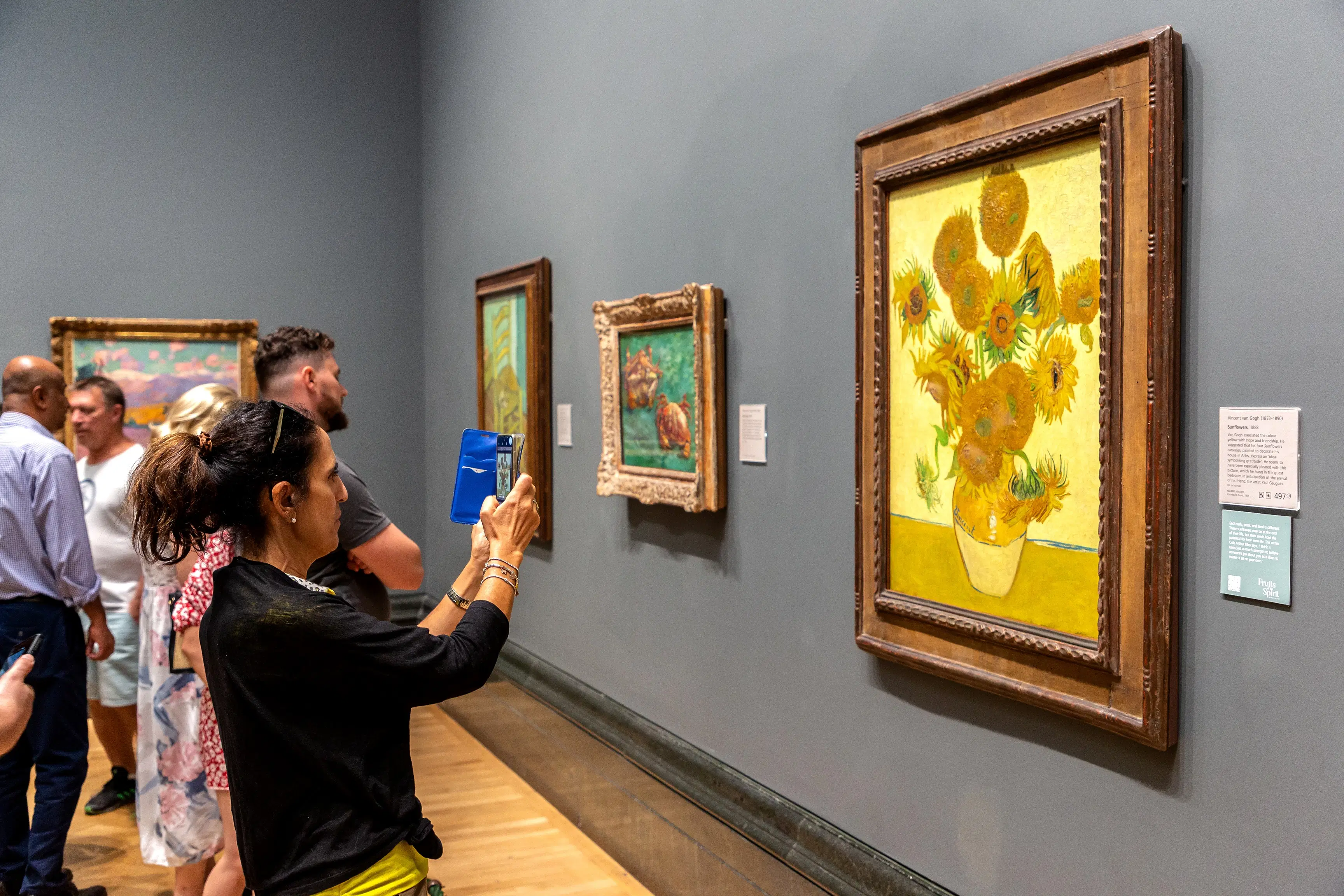 Where to see Van Gogh’s paintings - Lonely Planet