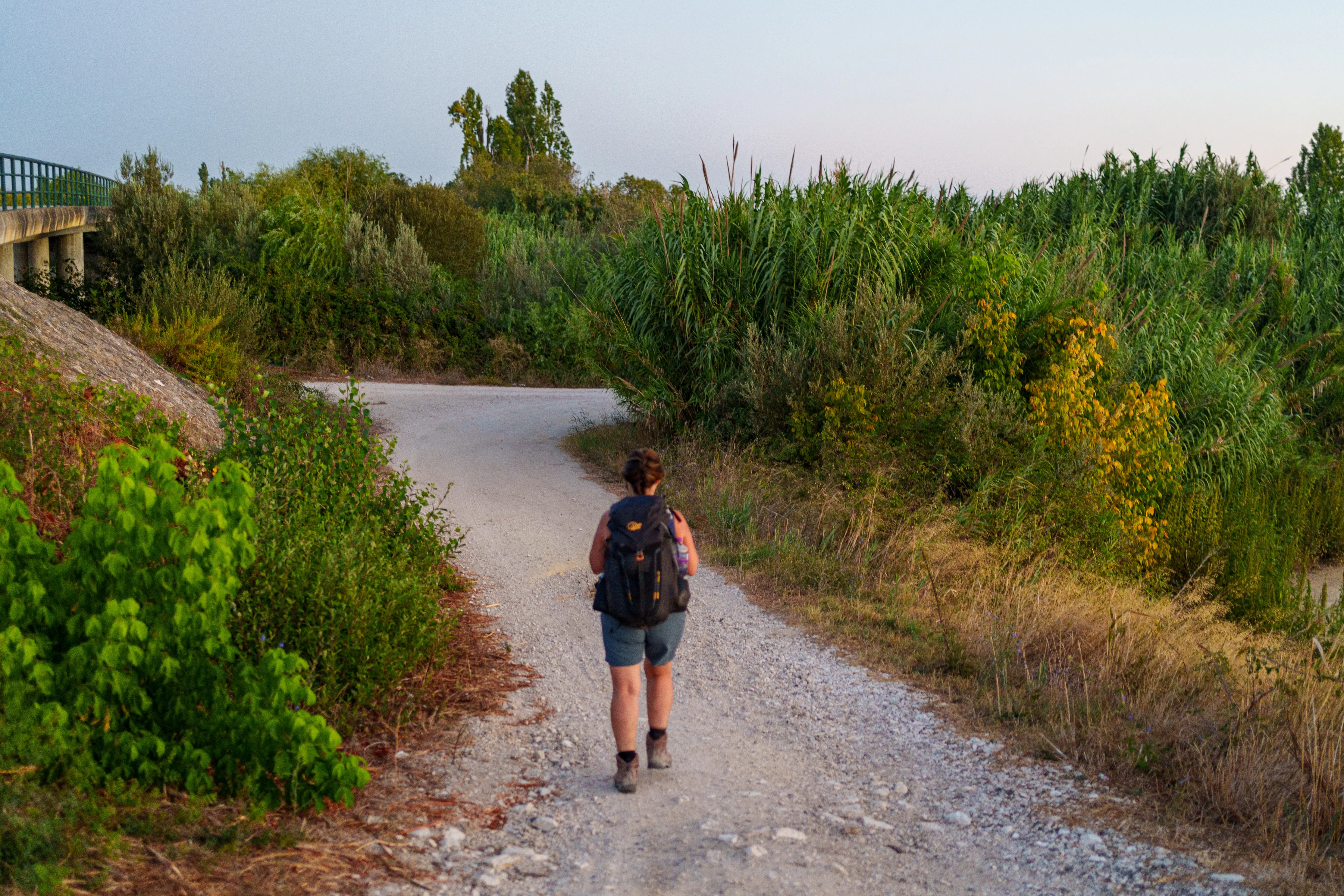 A first-time guide to the Costa Verde, Portugal - Lonely Planet