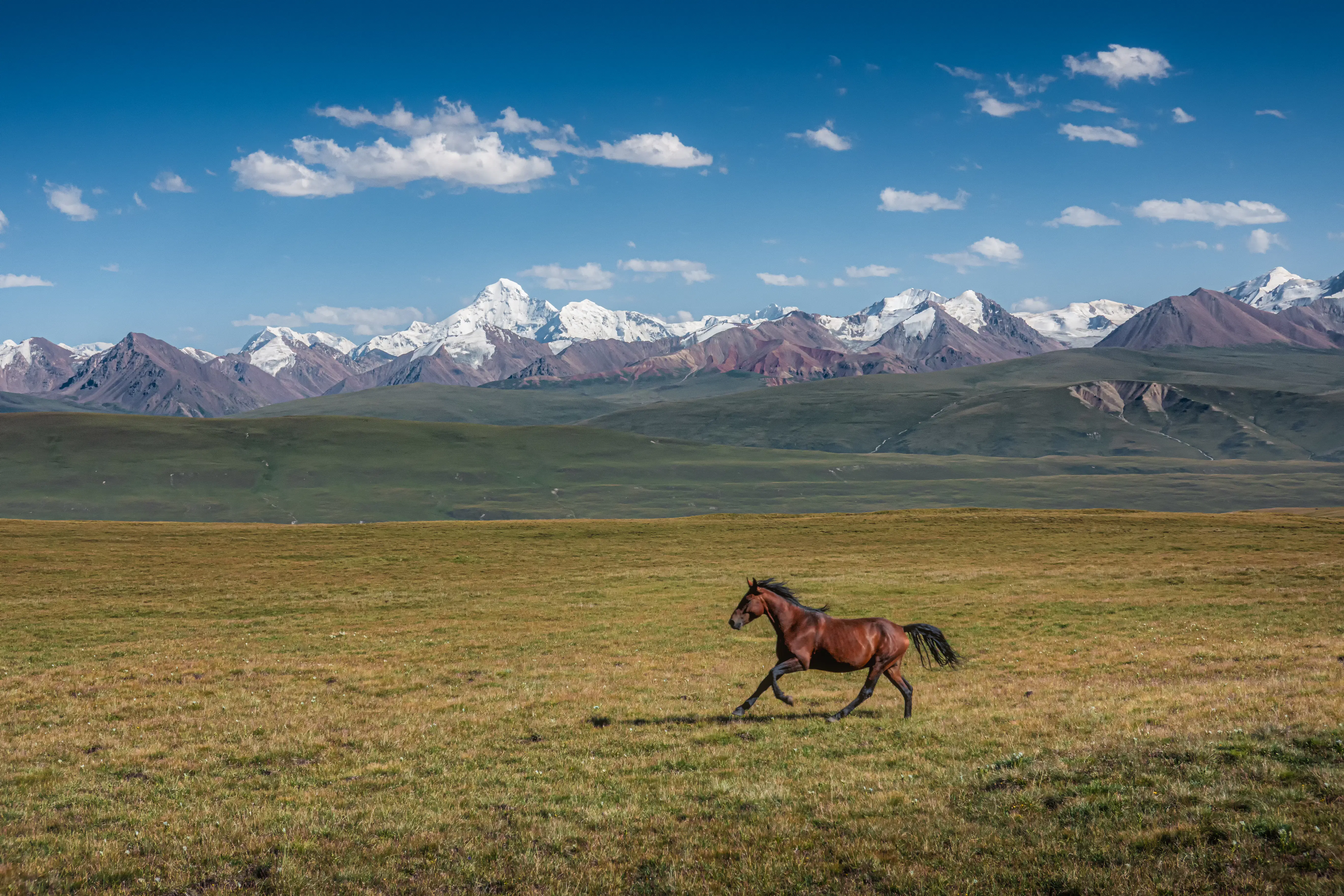 8 of the best places to visit in Kyrgyzstan - Lonely Planet