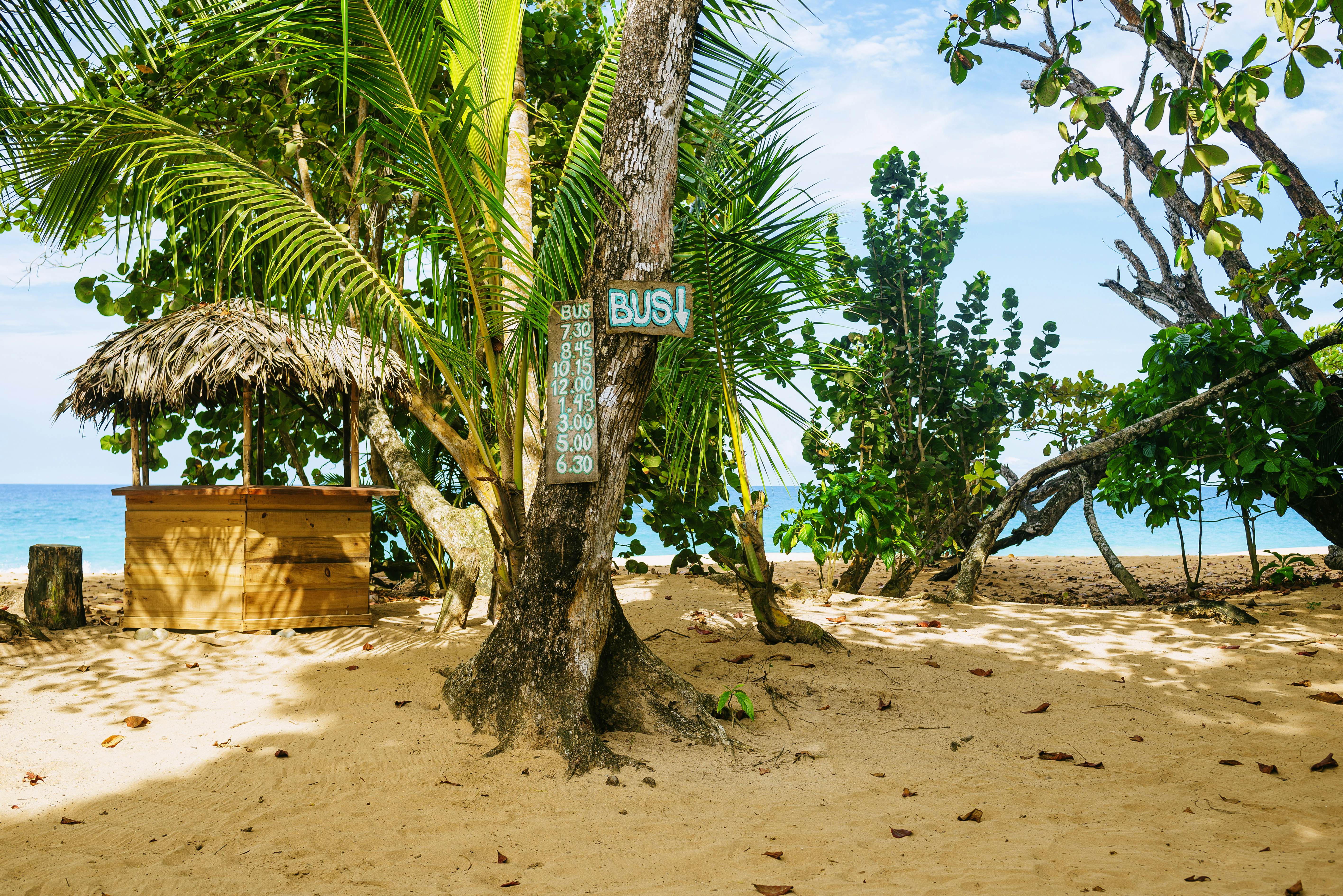 The top things to do in Bocas del Toro - Lonely Planet
