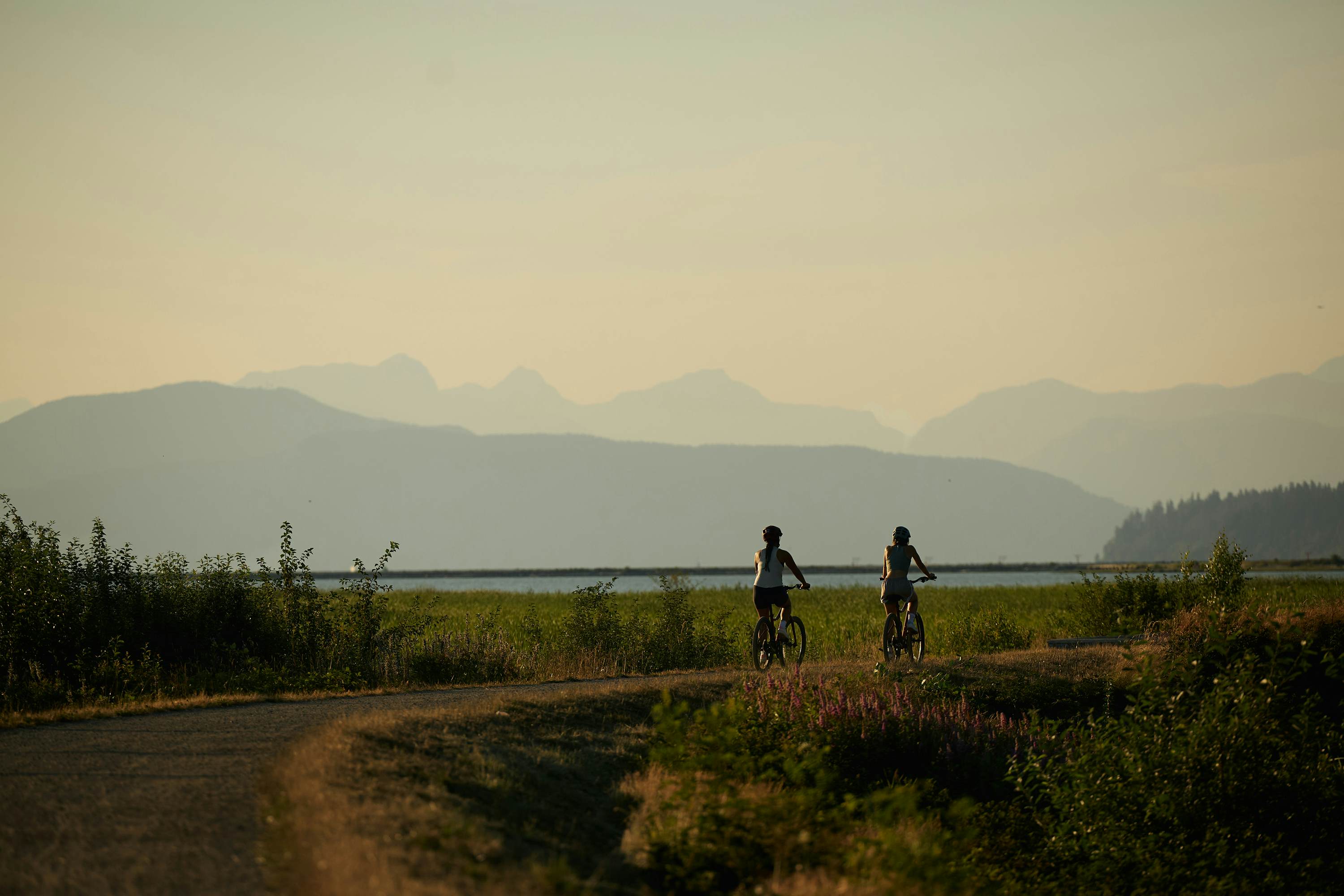 Explore the unique Pacific ecosystems of Richmond, B.C. - Lonely Planet