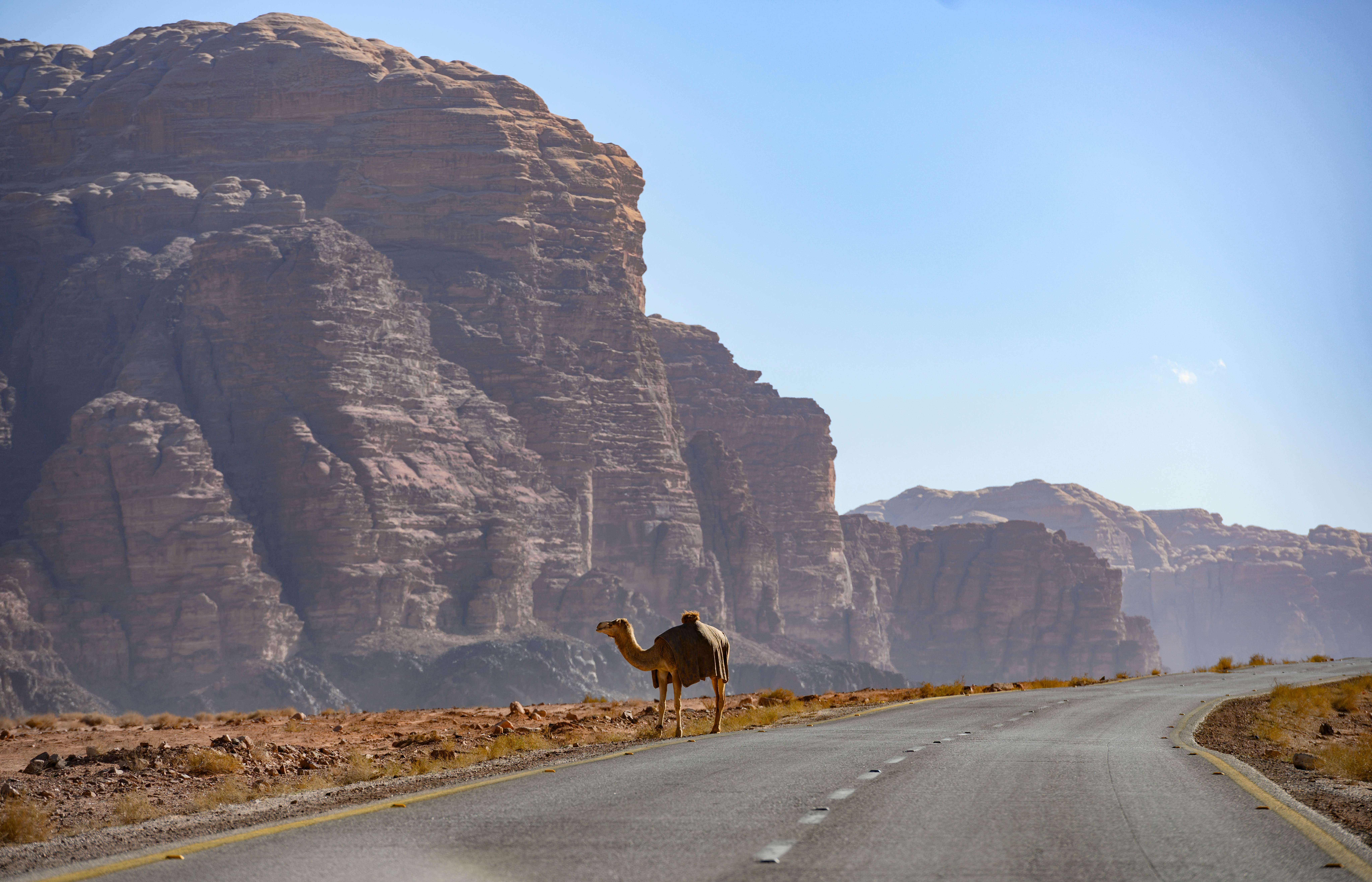 What you need to know about the Jordan Pass - Lonely Planet