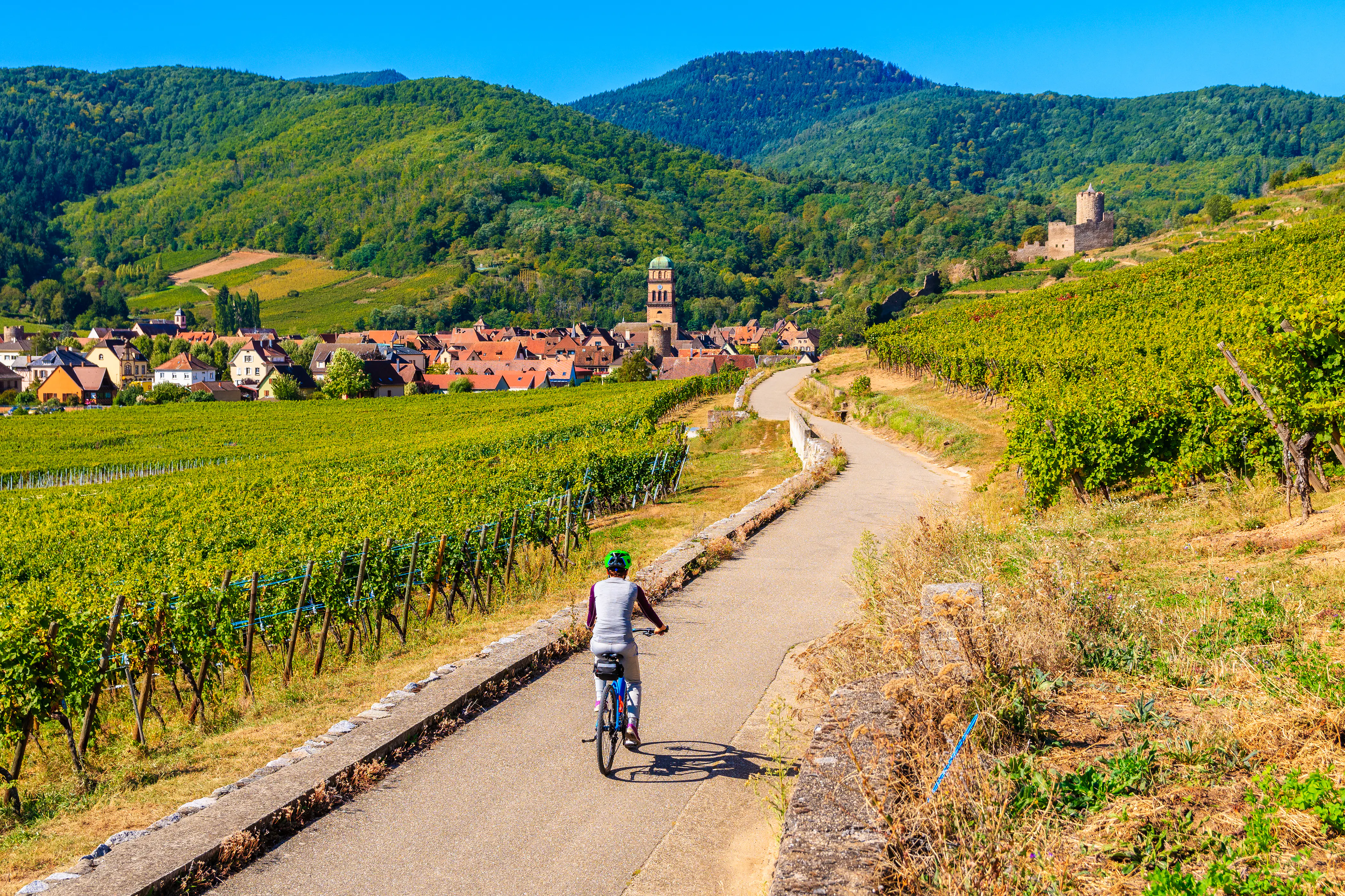 The top things to do in Alsace - Lonely Planet