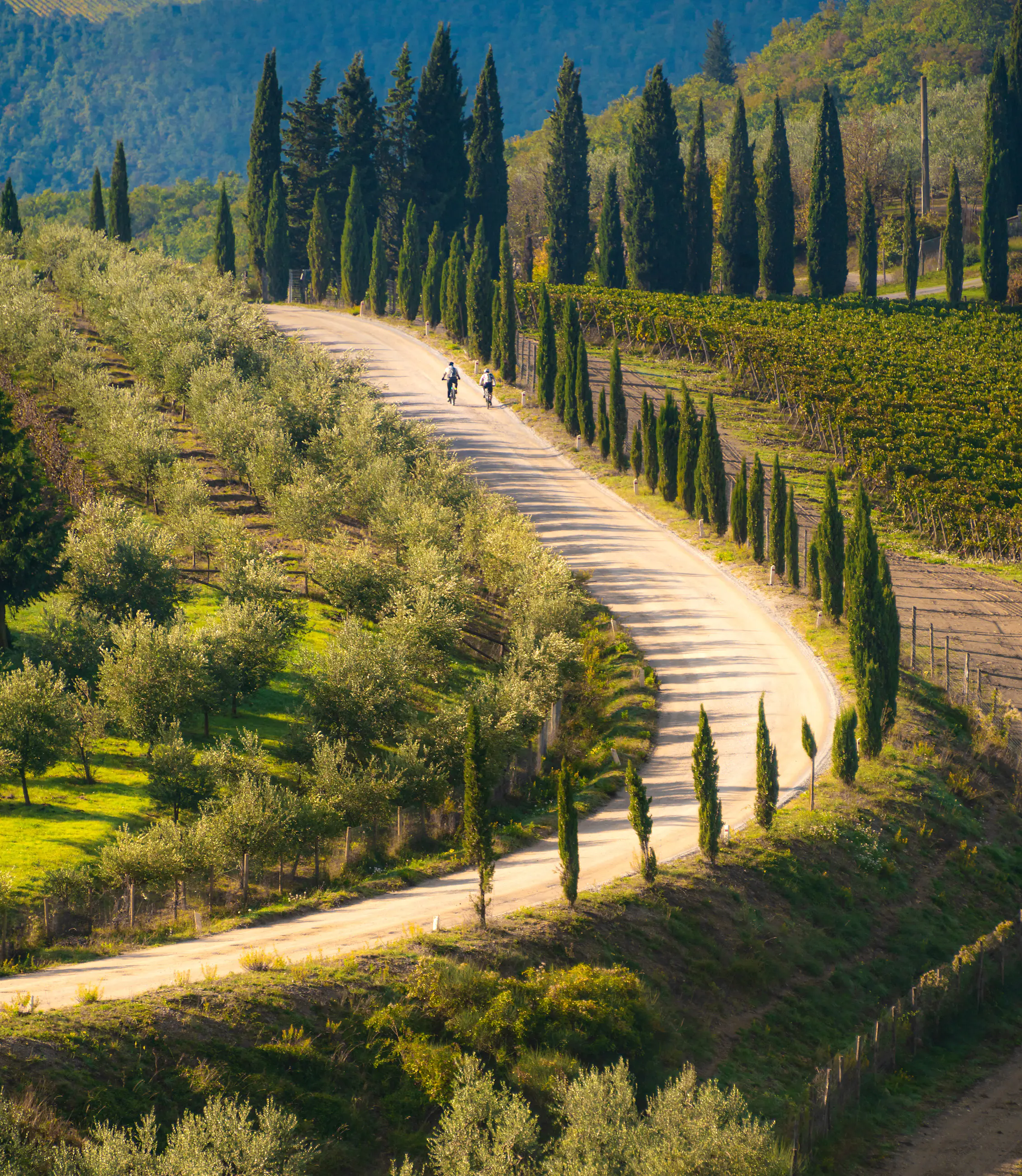 5 incredible Italy itineraries - Lonely Planet