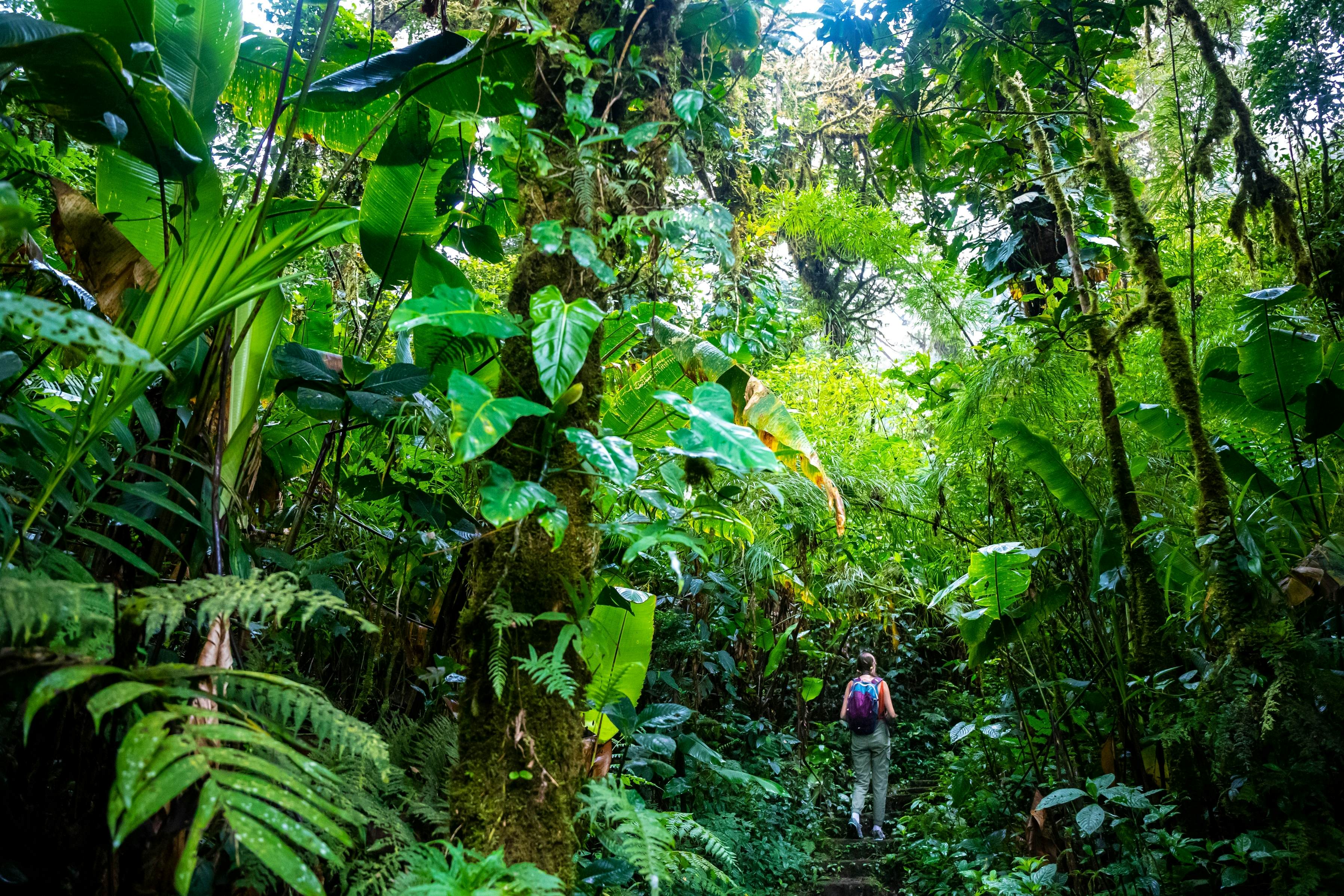 Best hikes in Costa Rica - Lonely Planet