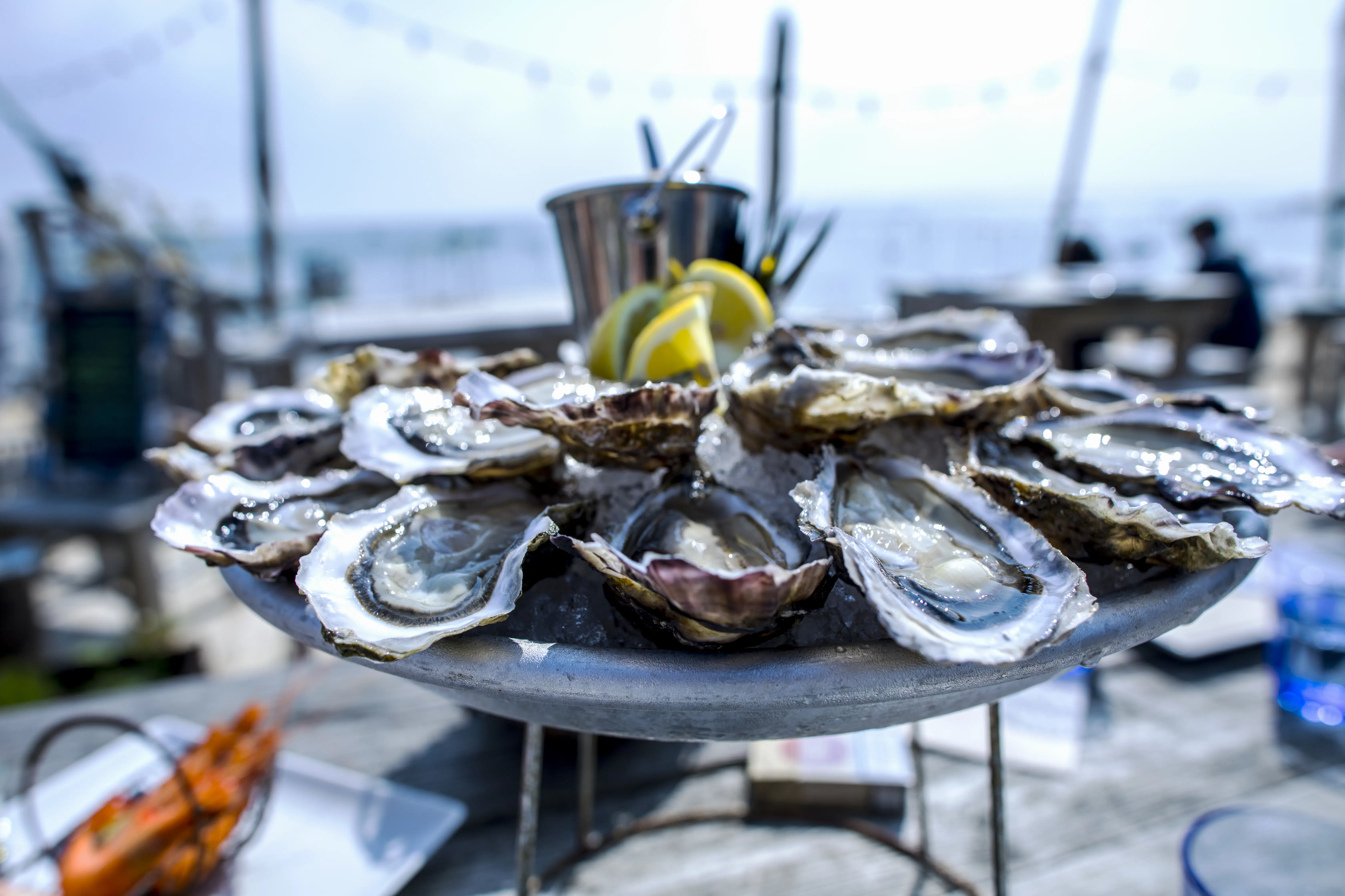 The best day trips from Bordeaux - Lonely Planet