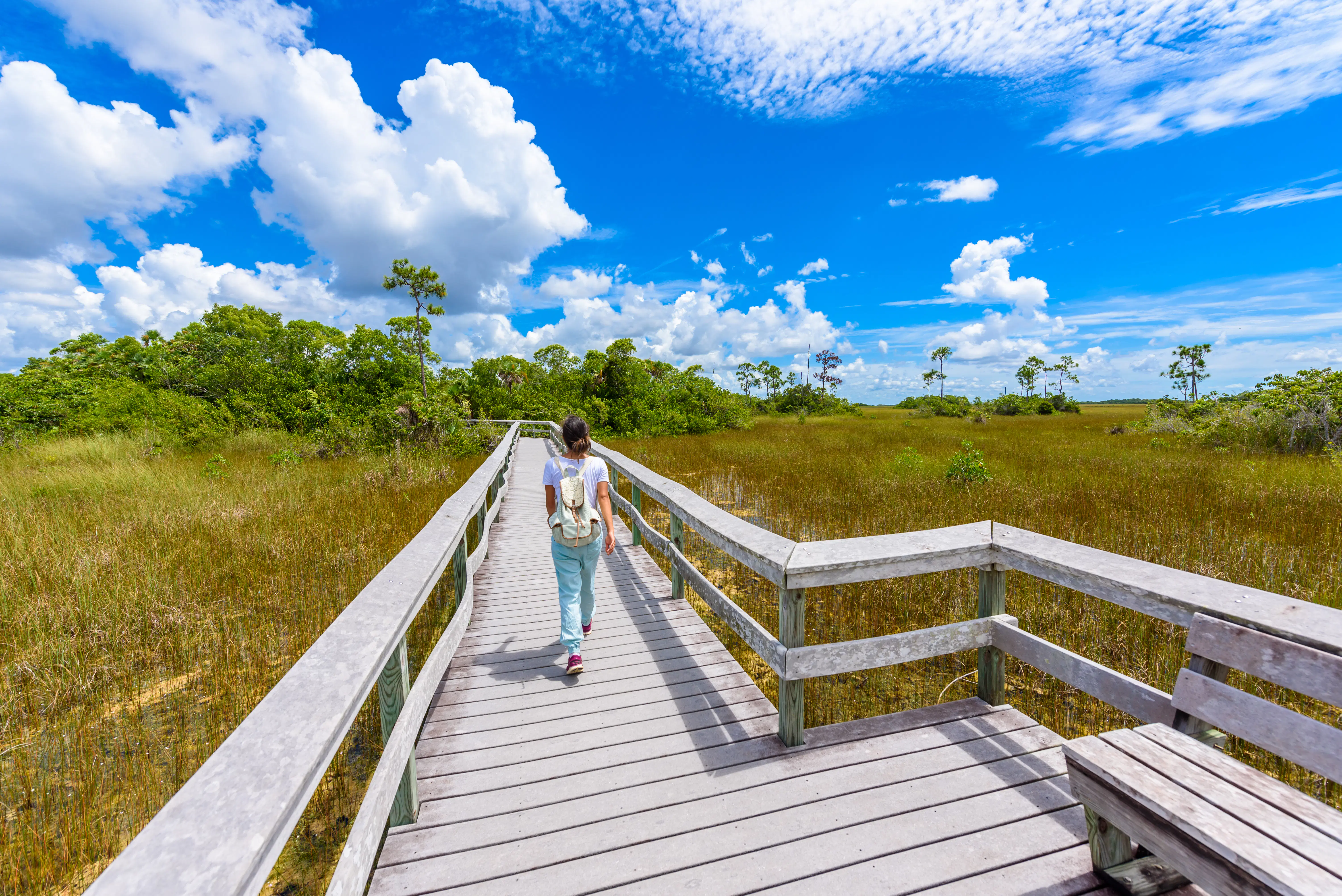 13 of the best things to do in Florida - Lonely Planet