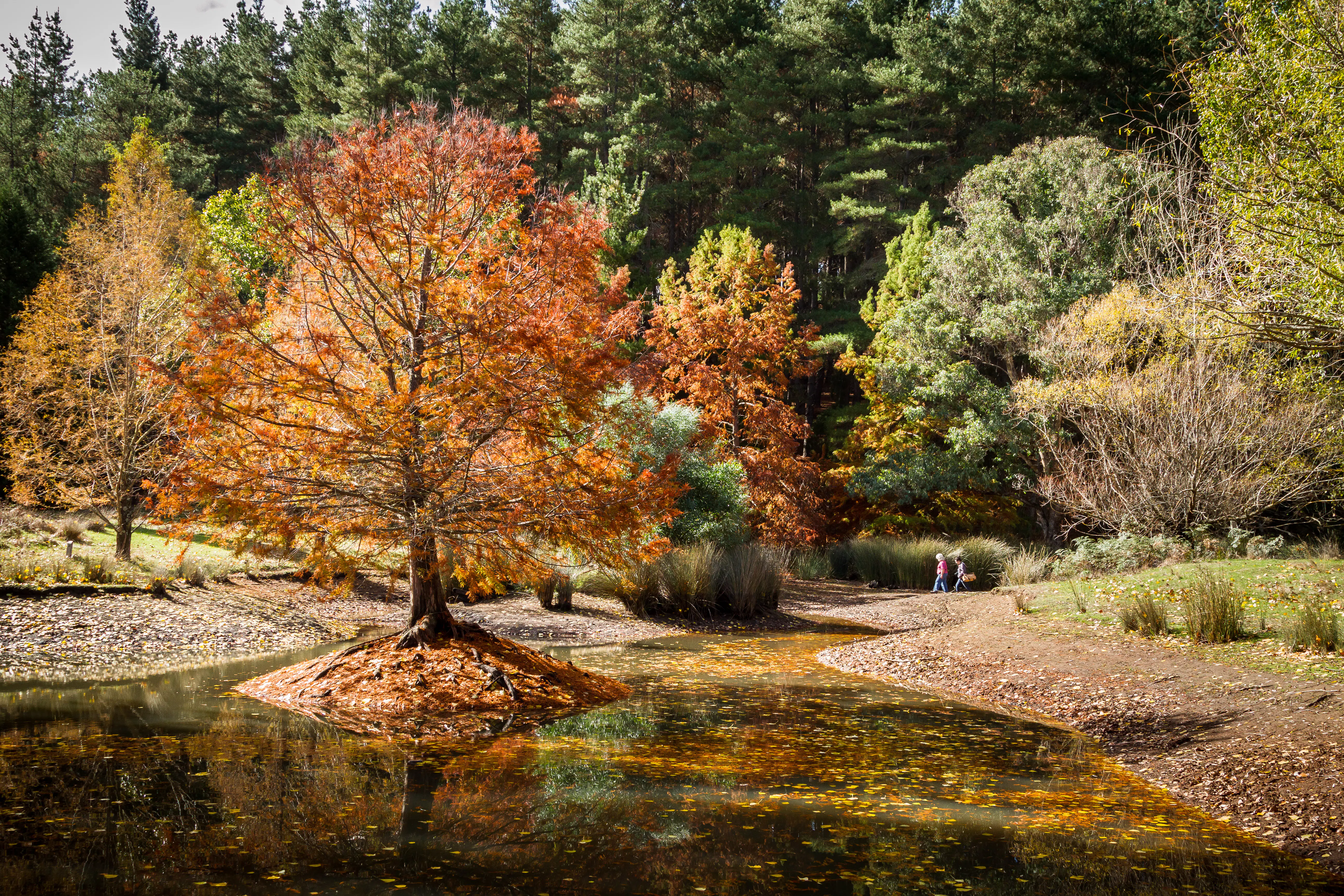 6 of the best towns to visit in Australia in fall - Lonely Planet