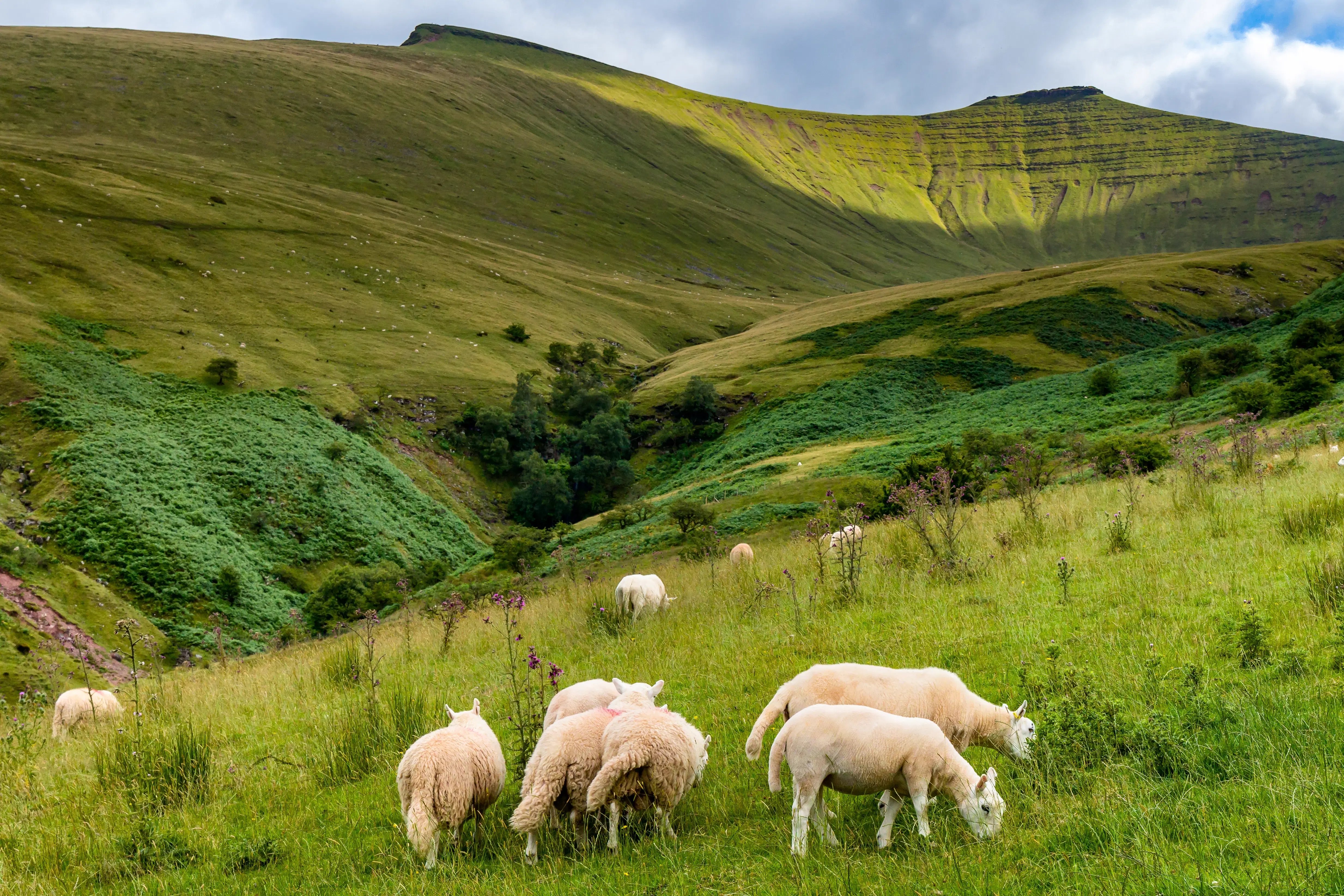 The 12 best places to visit in Wales - Lonely Planet