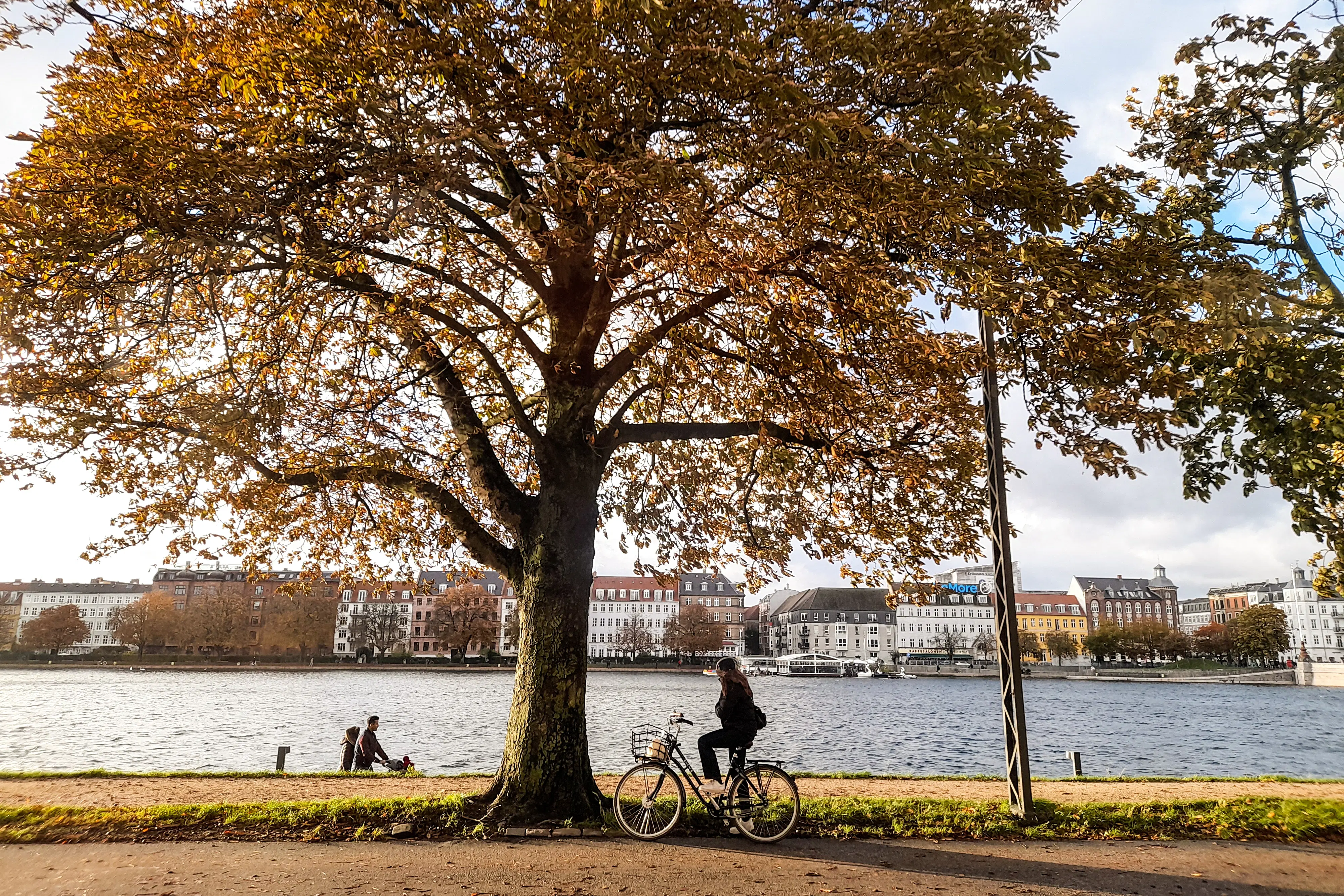 The 9 best things to do in Odense, Denmark - Lonely Planet