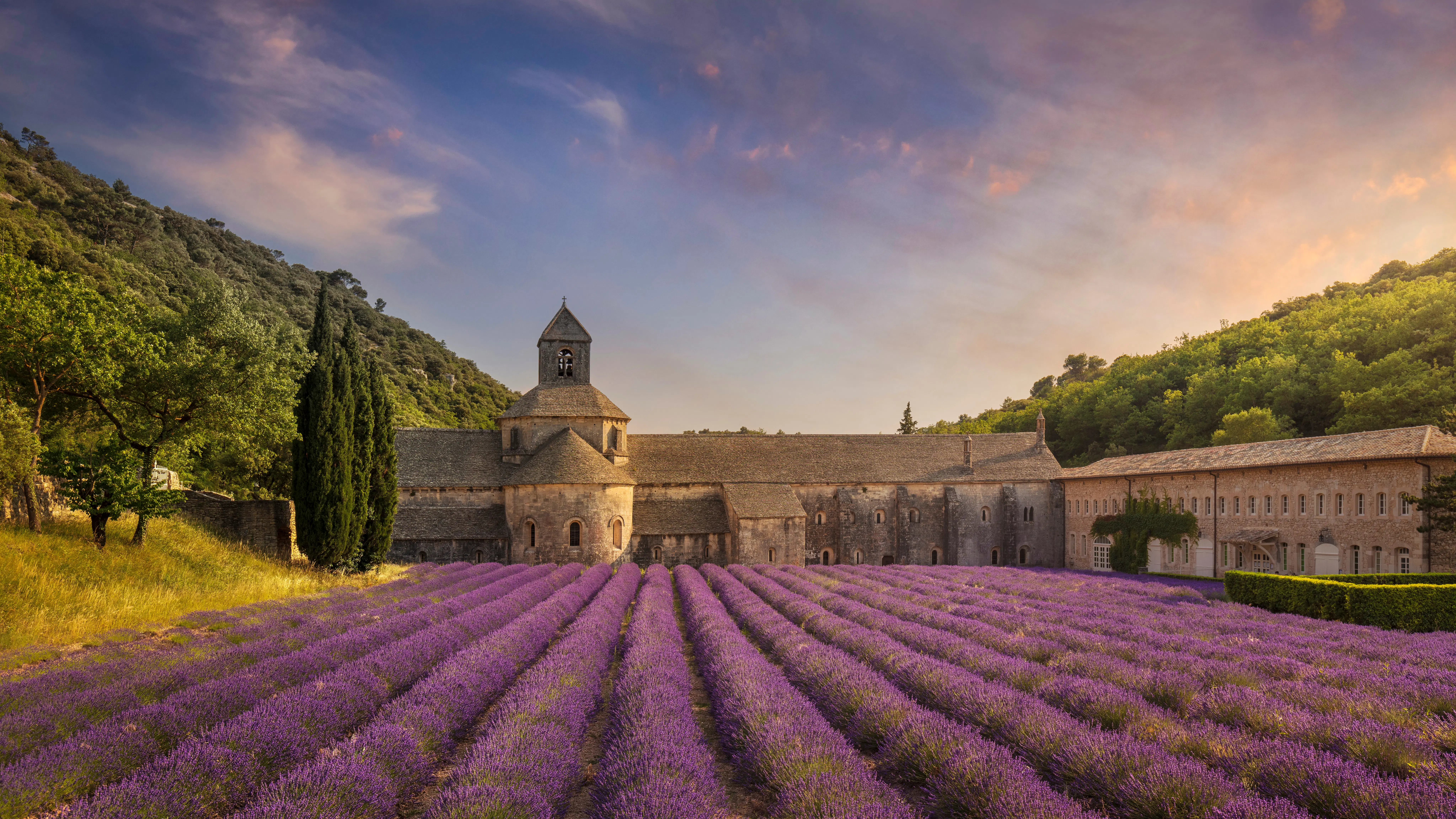 Best places to see lavender bloom - Lonely Planet
