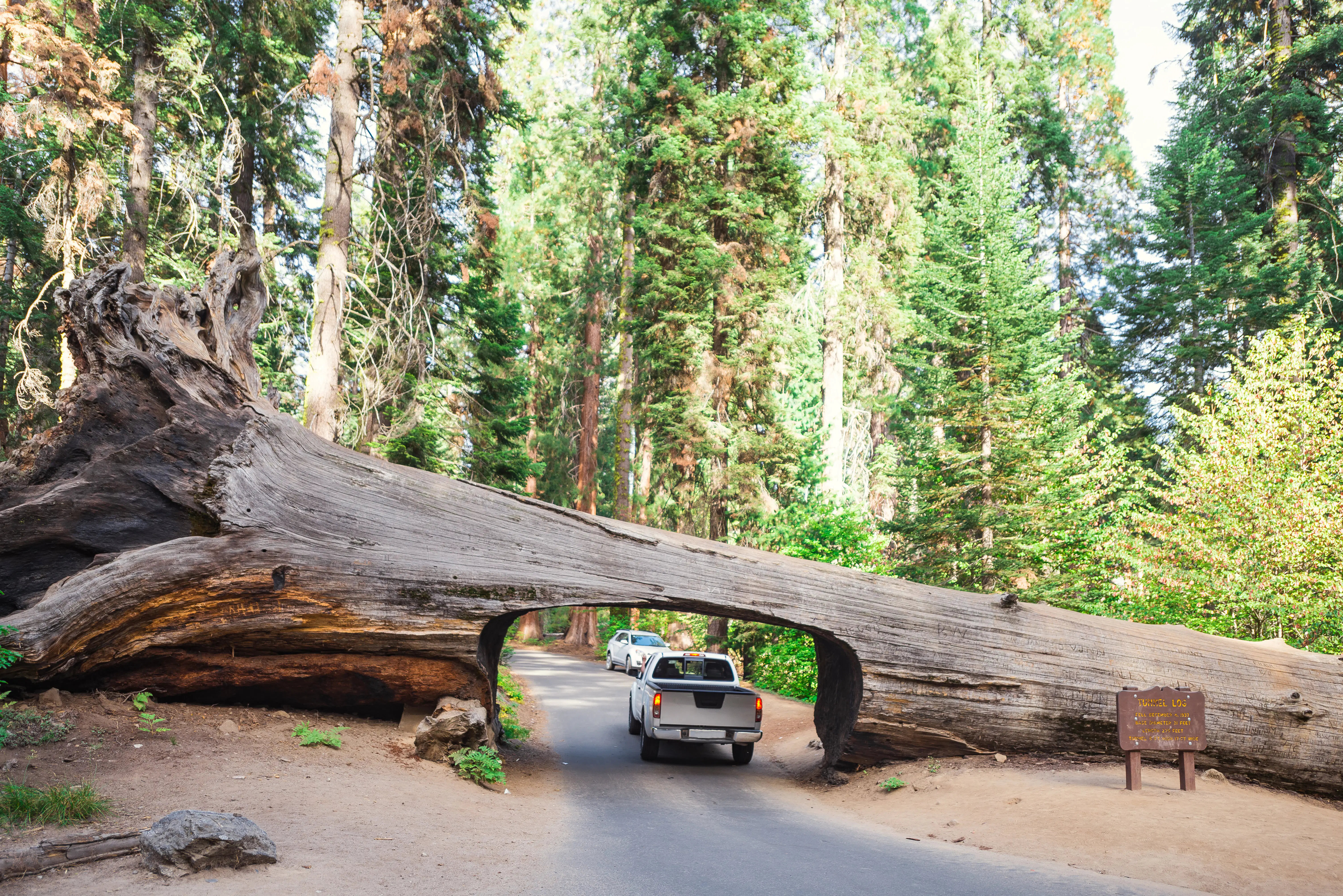 A first-time guide to Sequoia National Park - Lonely Planet