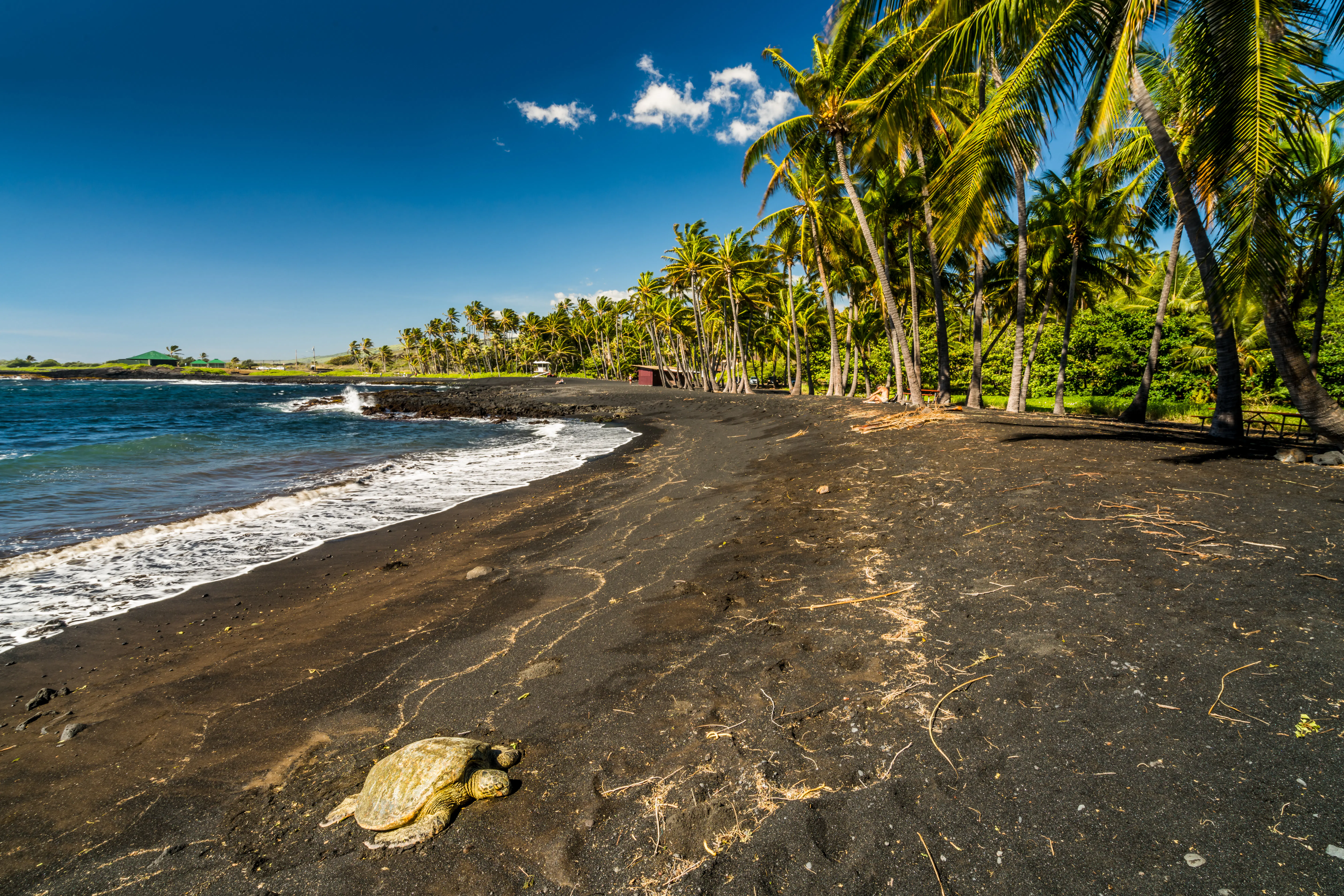 The 12 most spectacular beaches in Maui to enjoy from sunup to sundown ...