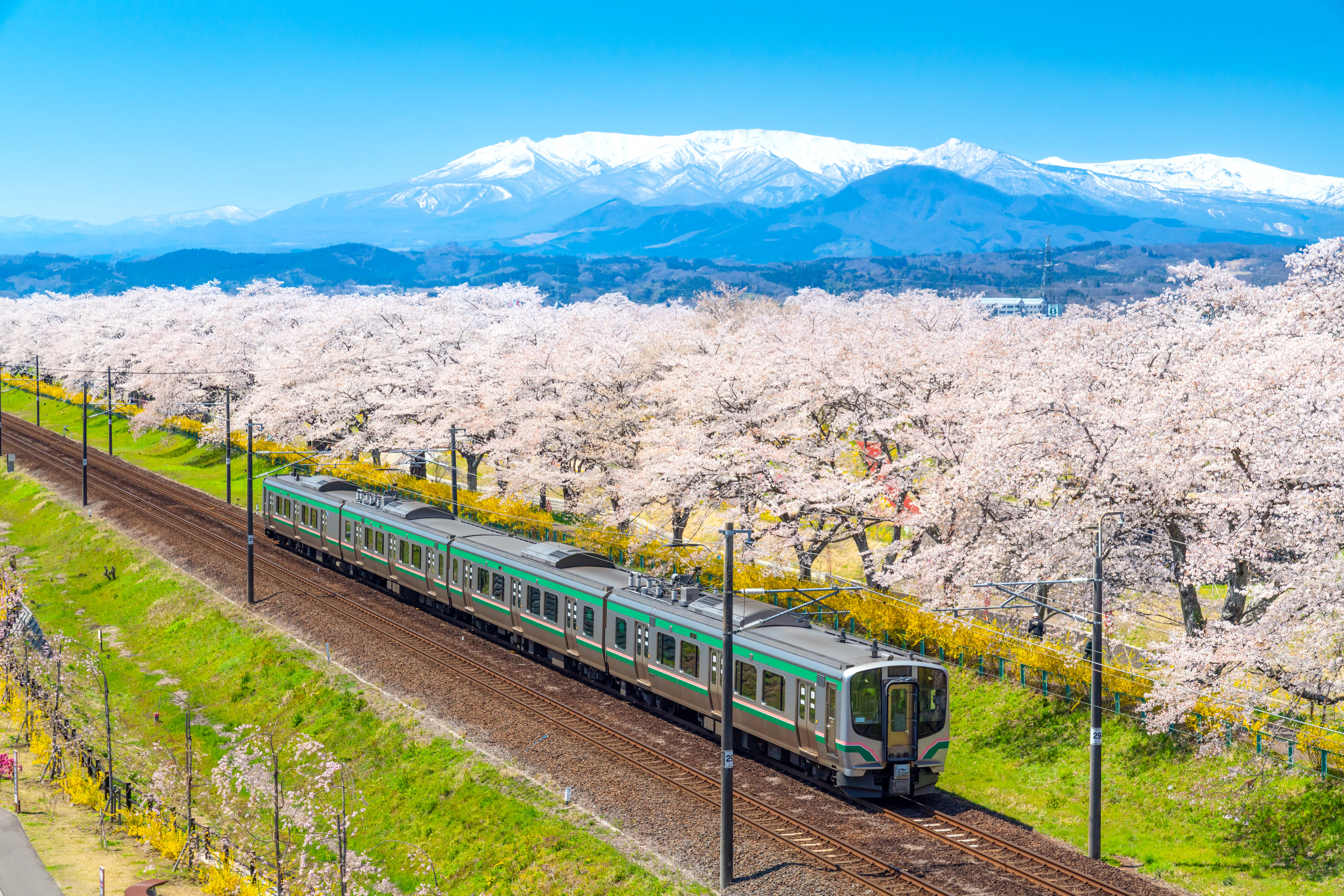 Guide to the Japan Rail Pass - Lonely Planet