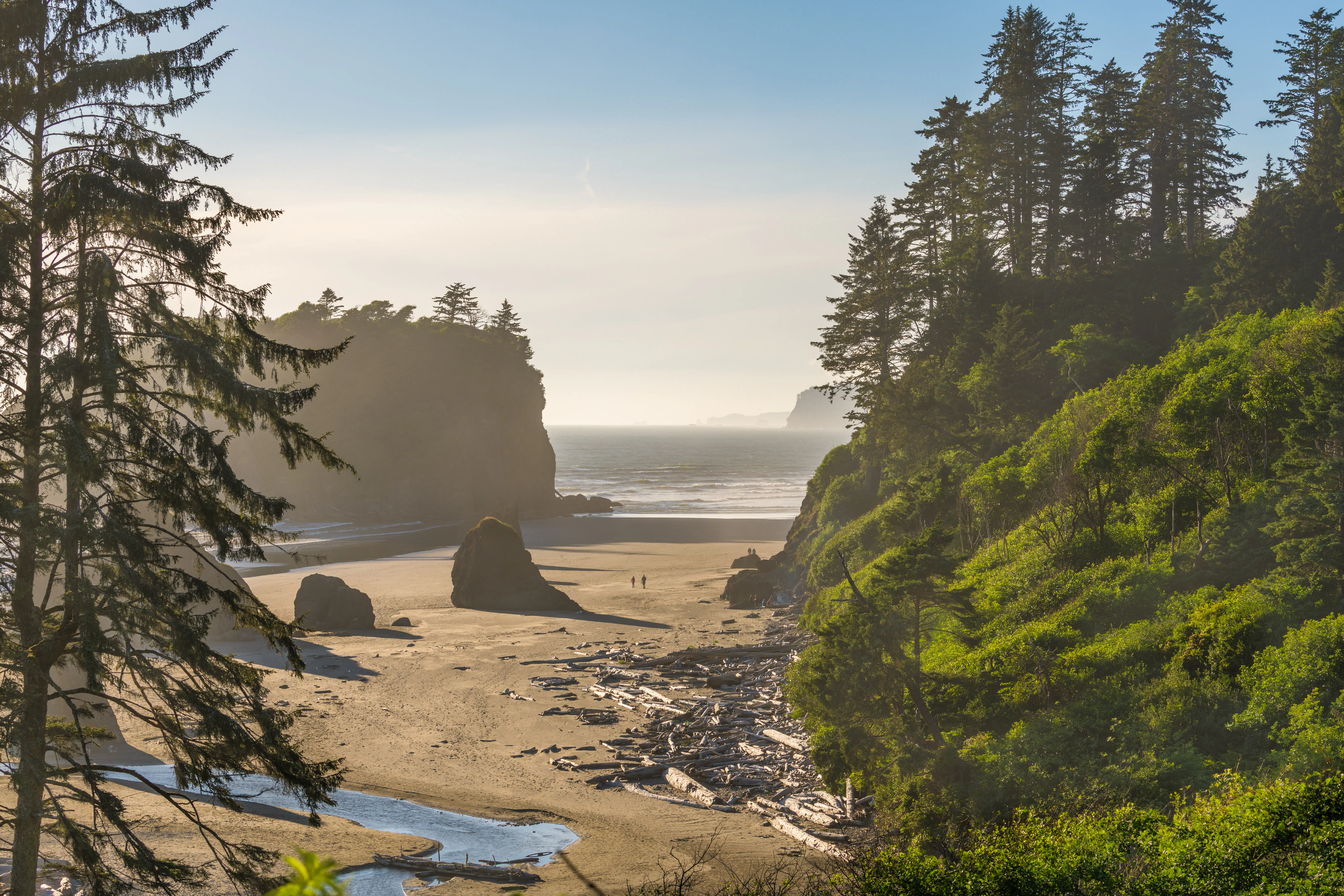 The best beaches in the West Coast - Lonely Planet