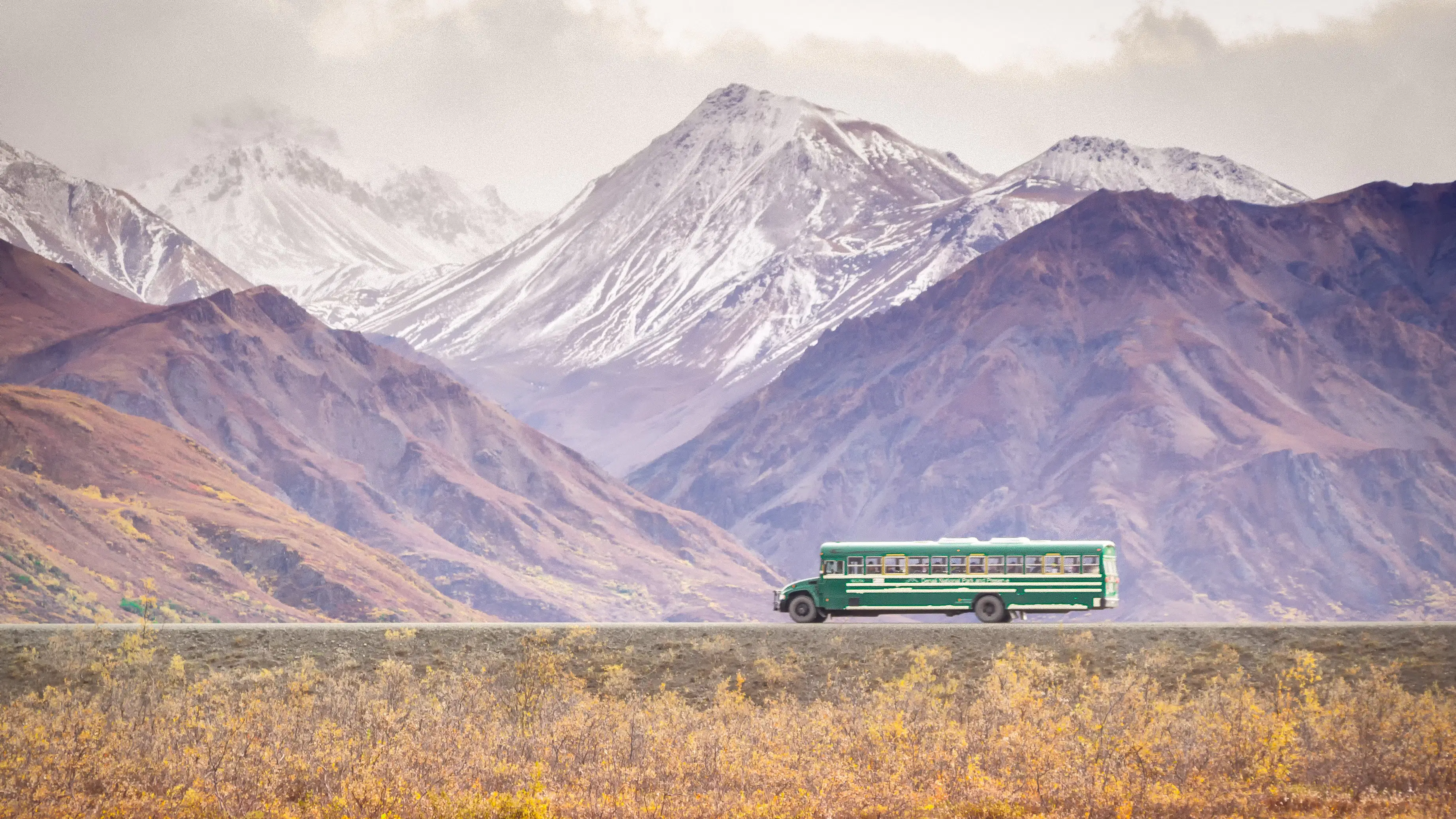 A first-time guide to Denali National Park, Alaska - Lonely Planet