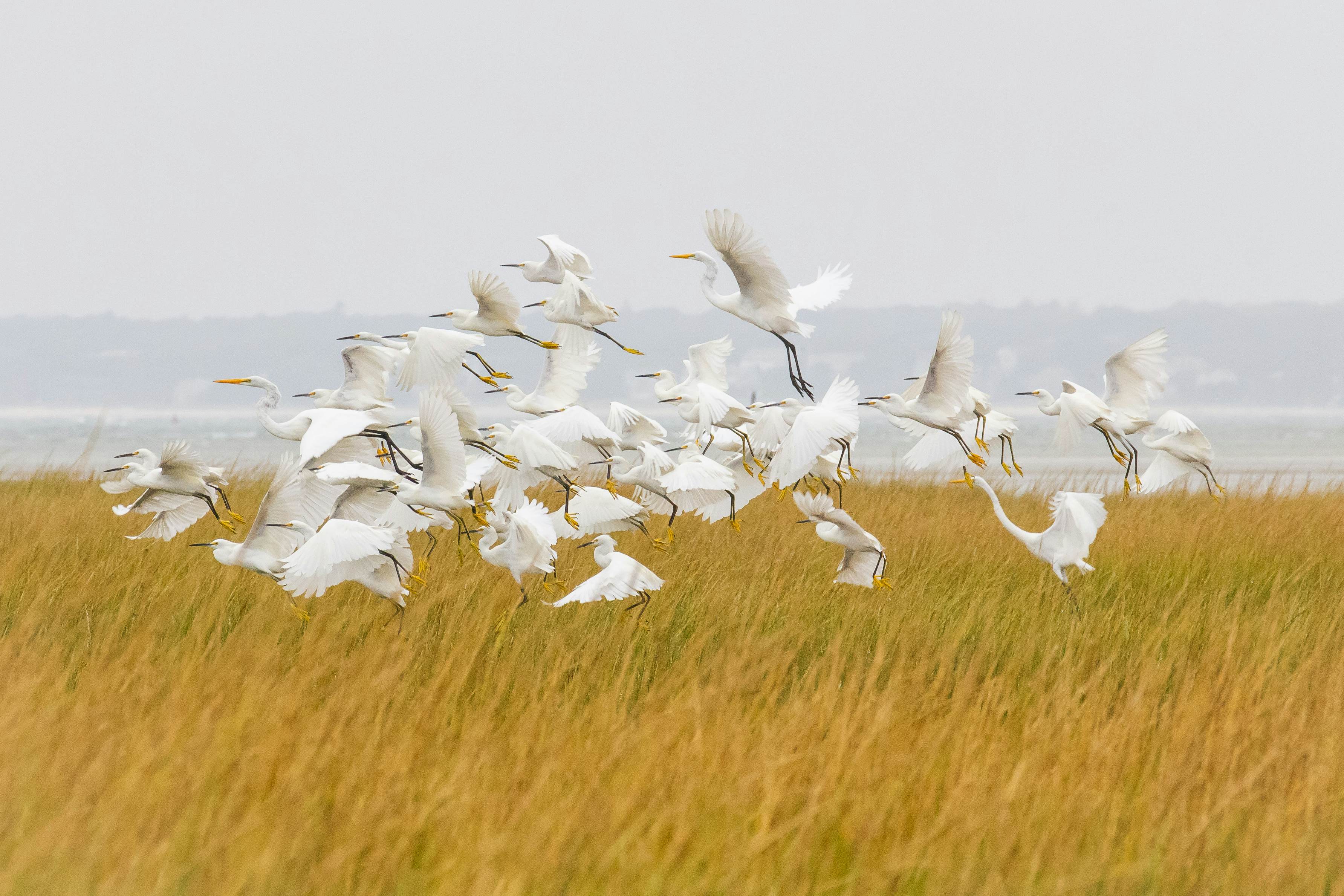 A first-time guide to Cape Cod, Massachusetts - Lonely Planet