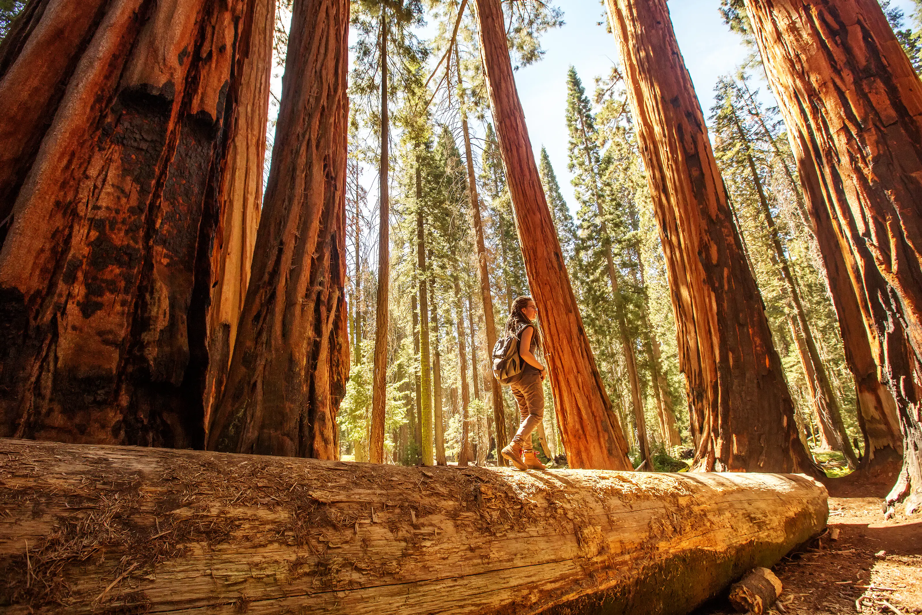A first-time guide to Sequoia National Park - Lonely Planet