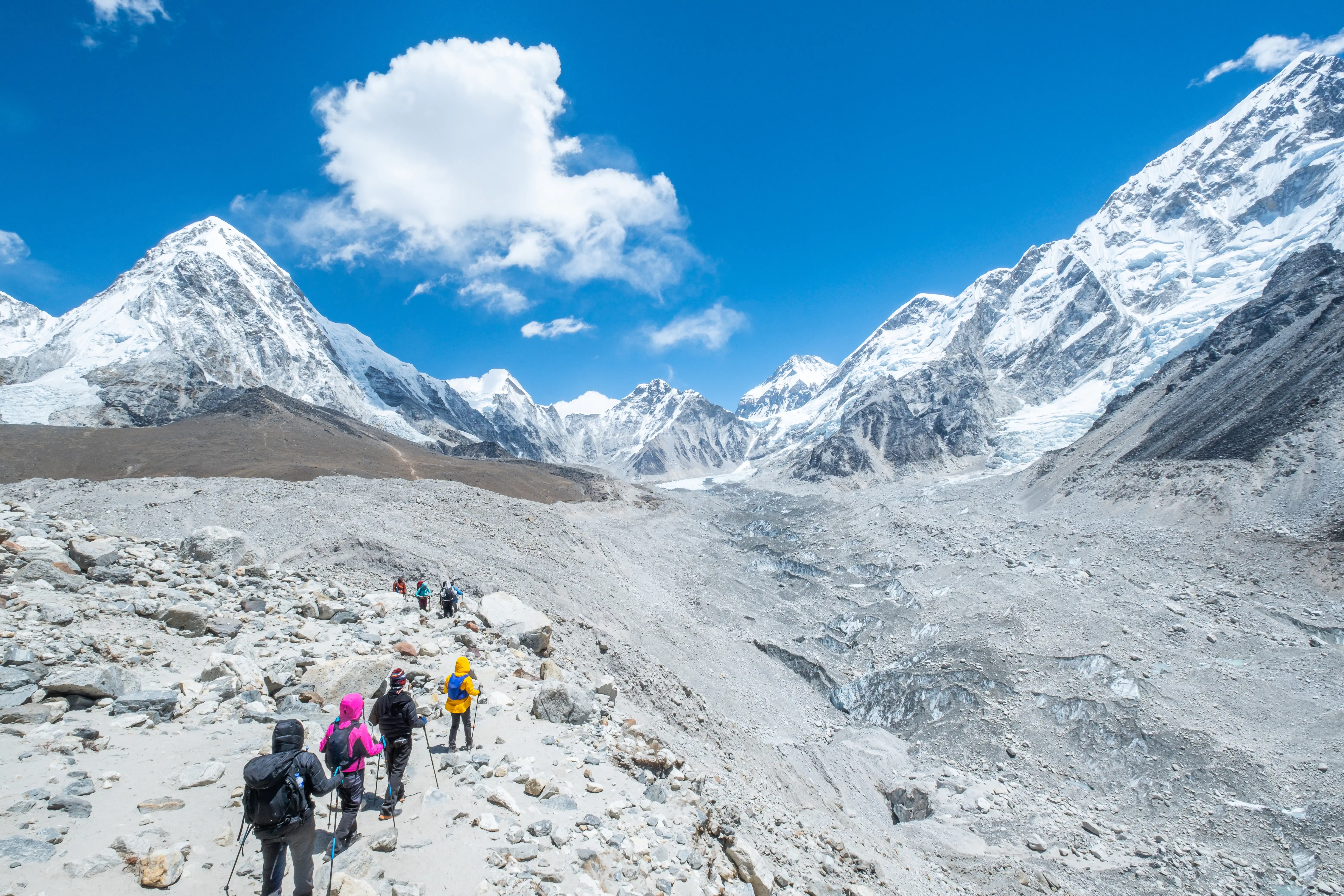 The 8 best national parks in Nepal - Lonely Planet