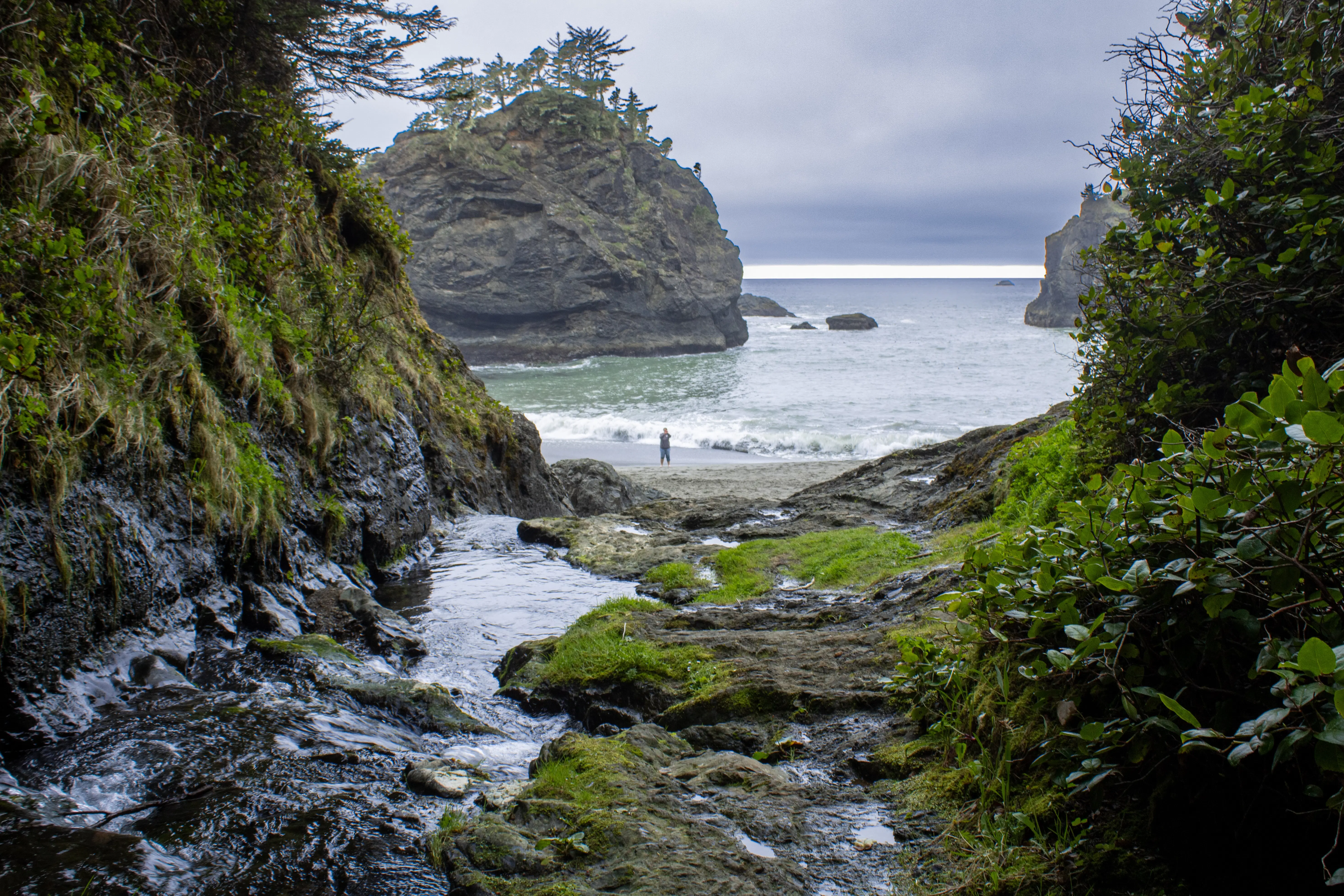 The best beaches in the West Coast - Lonely Planet
