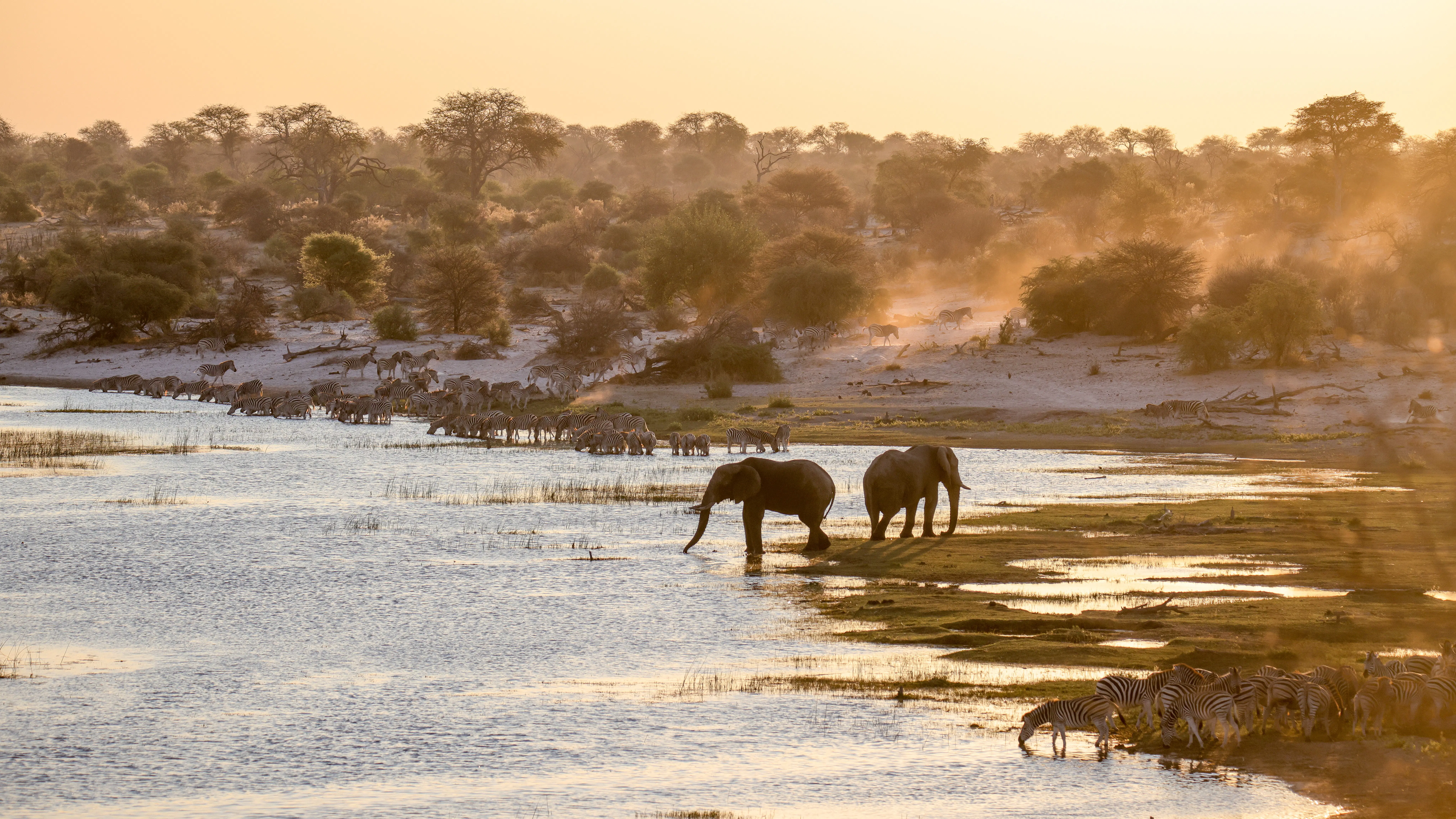 A guide to the Kalahari Desert in Southern Africa - Lonely Planet