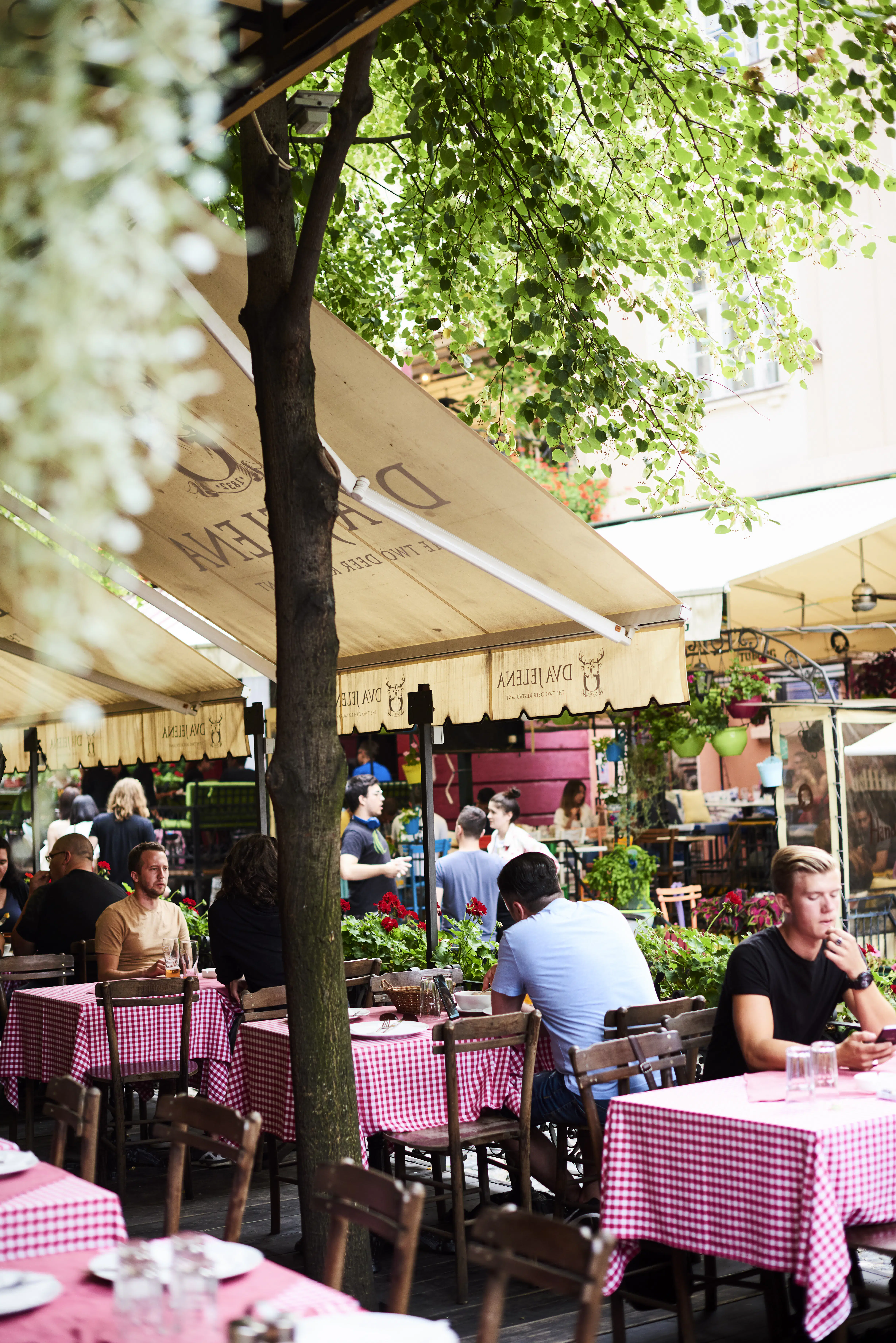 A guide to kafane in Belgrade, Serbia - Lonely Planet