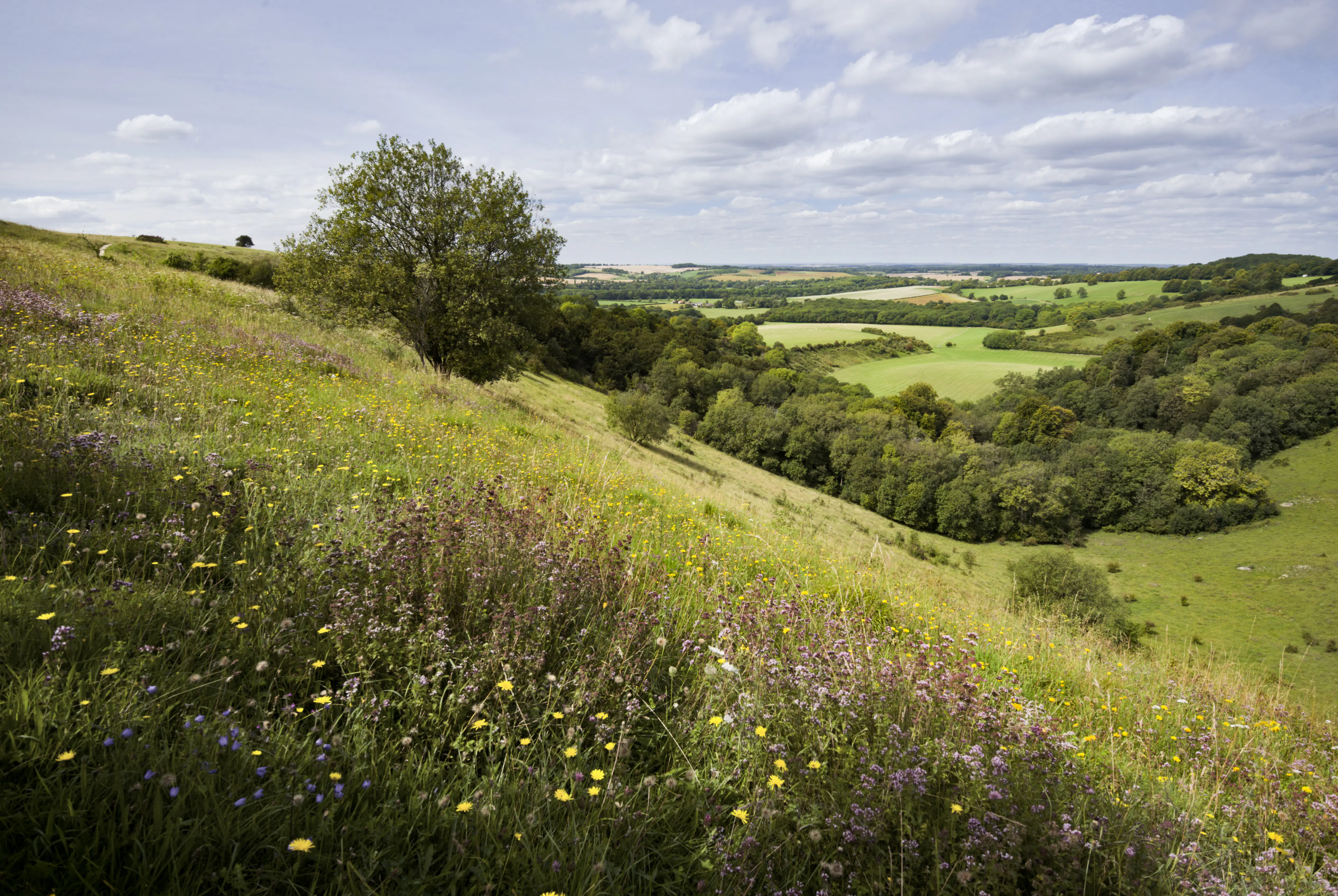 5 driving itineraries to see the best of England - Lonely Planet